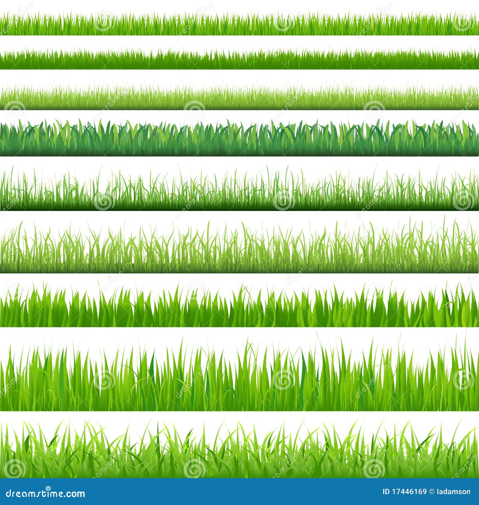 Big Set Grasses. Vector stock vector. Illustration of national - 17446169