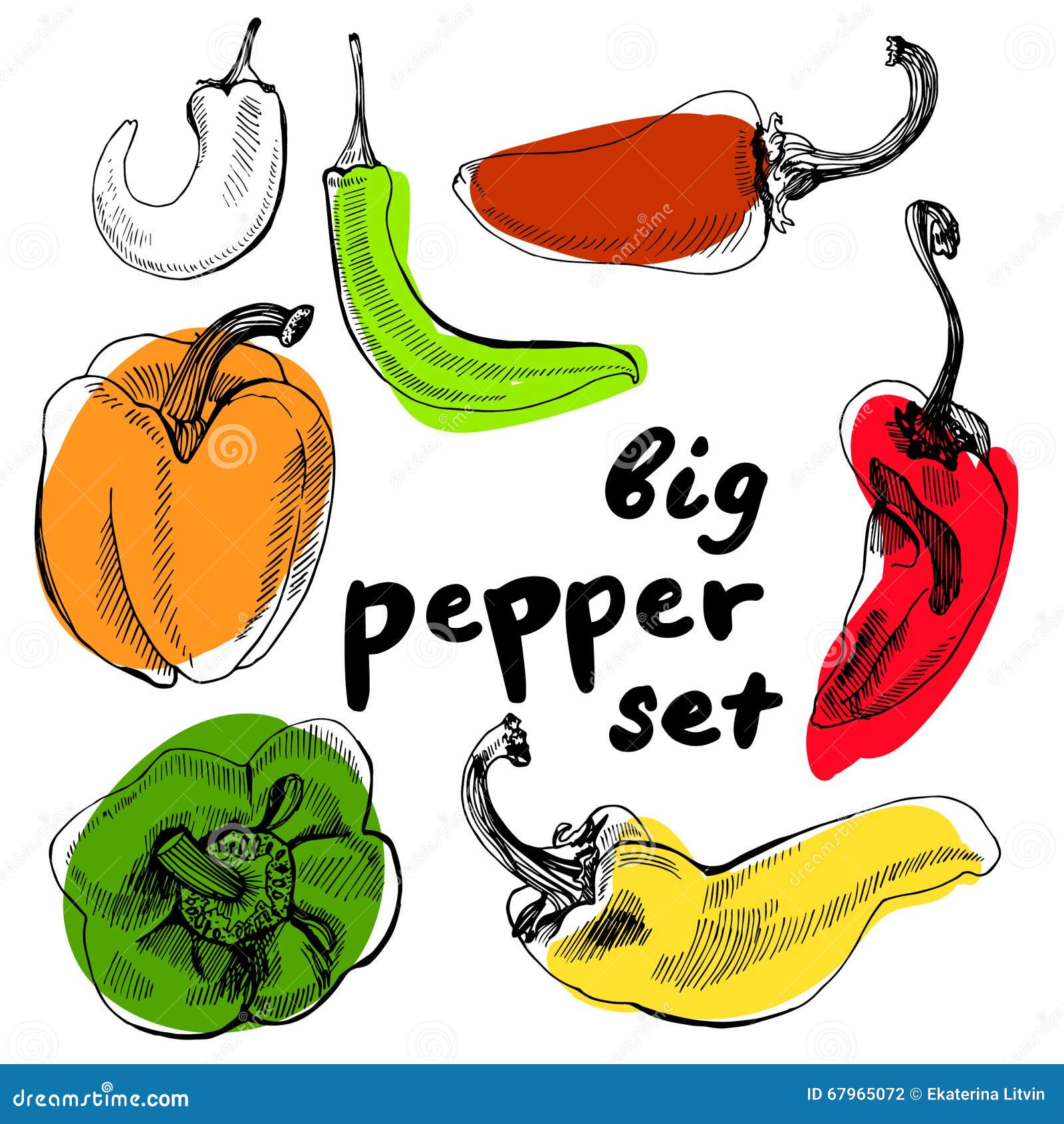Big Set of Hand Drawn Pepper Stock Vector - Illustration of paprika ...
