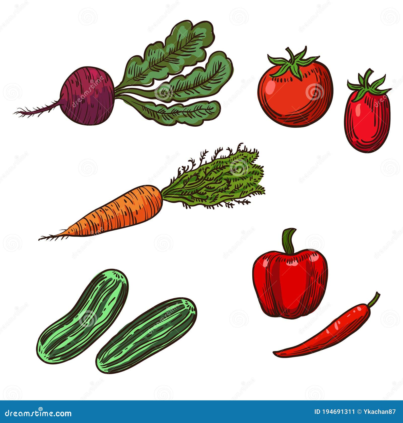 Big Set of Hand Drawn Vegetables Stock Vector - Illustration of diet ...