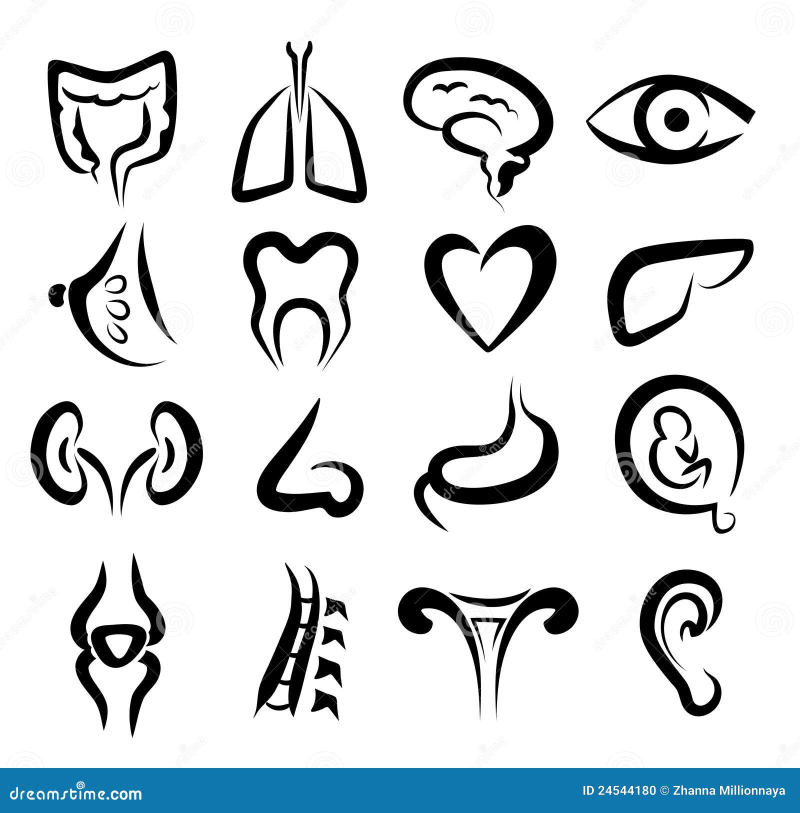 Big set of human organs stock vector. Illustration of human - 24544180 Big set of human organs stock vector. Illustration of human - 24544180