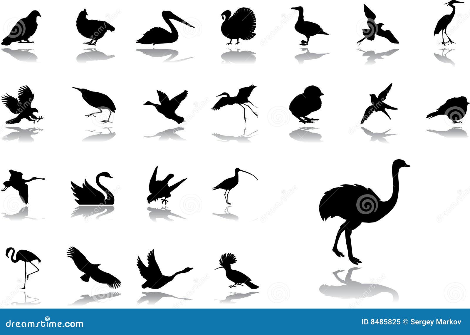 Big set icons - 18. Birds stock vector. Illustration of painting - 8485825