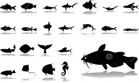 Big set icons - 4. Fish stock vector. Illustration of saltwater - 6160754