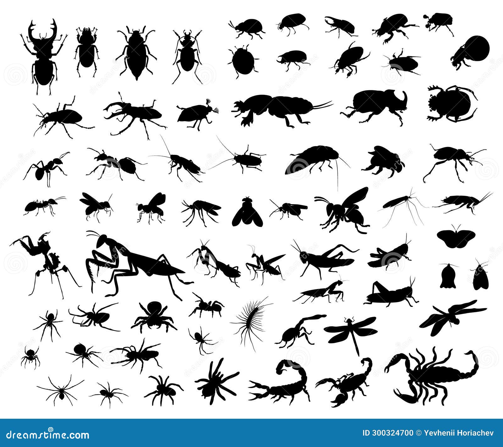 Big Set of Insect Silhouettes. Stock Illustration - Illustration of ...
