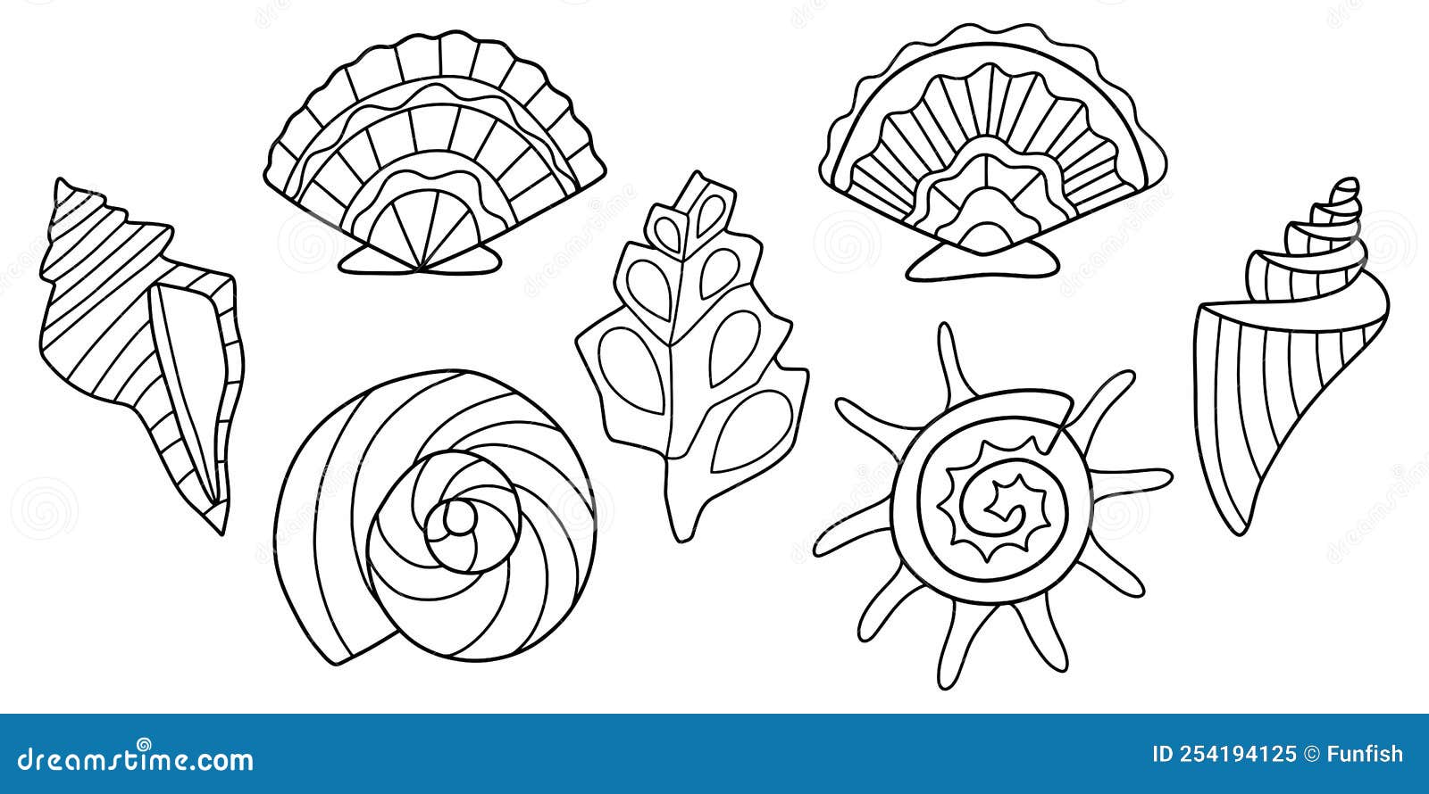 Big Set of Linear Hand-drawn Sea Shells Vector Illustration Stock ...