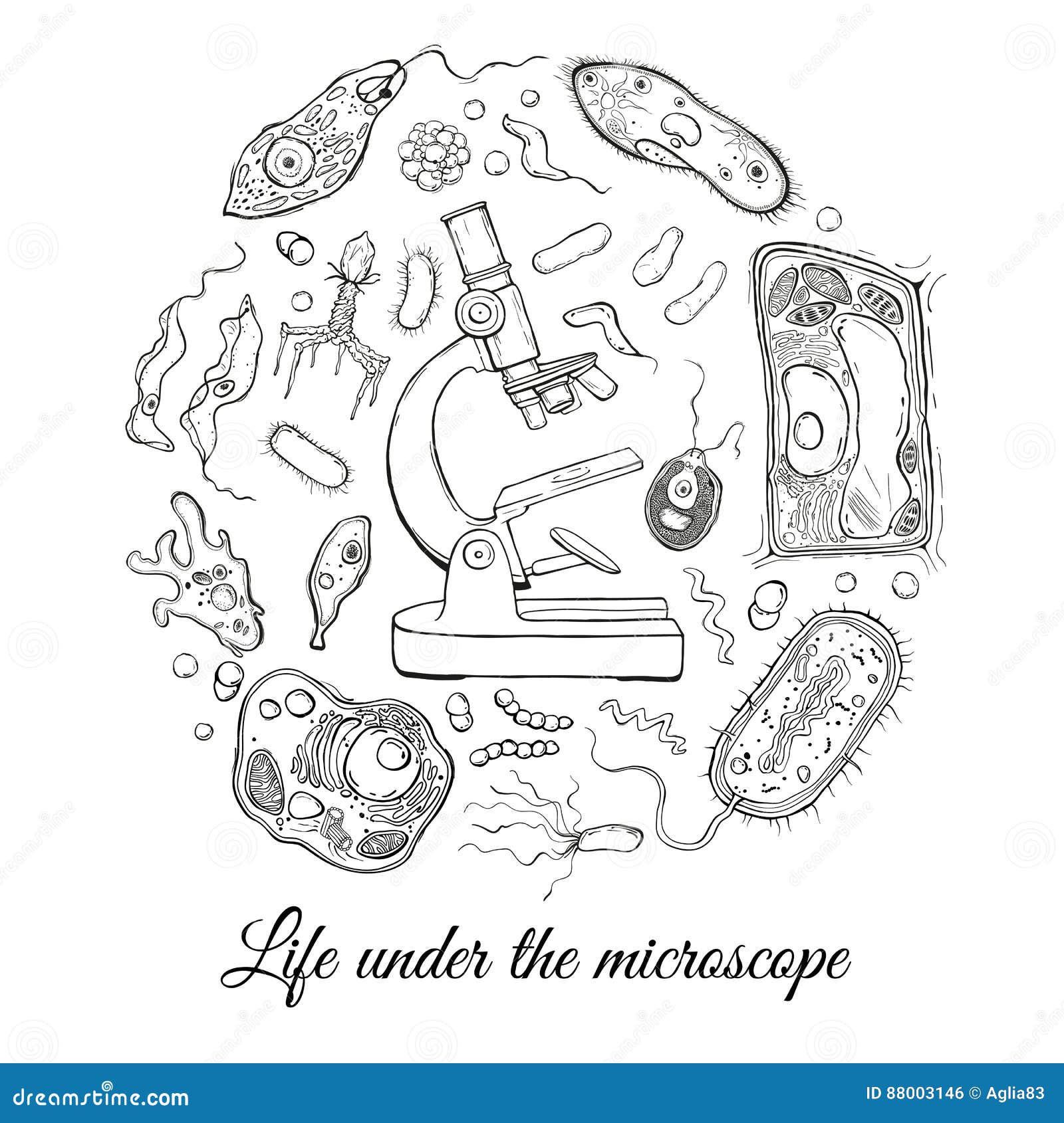 Big Set with Microscope and Different Microorganisms Stock Vector ...