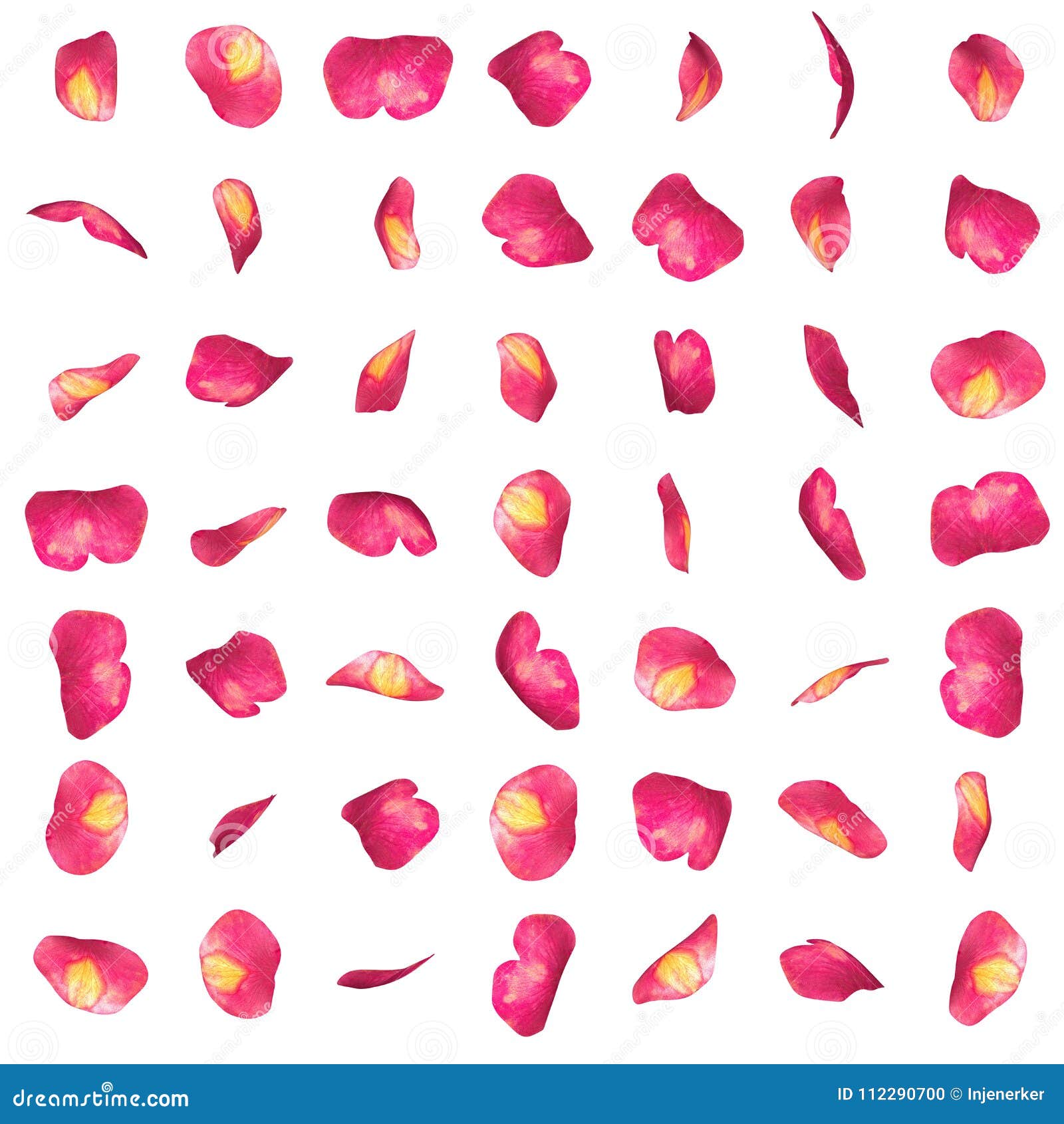 A Big Set of Red Rose Petals in Different Angles Stock Photo - Image of ...