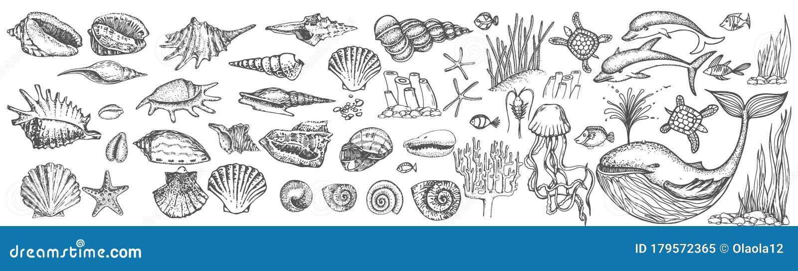 Big Set of Shells and Sea Animals Stock Vector - Illustration of ...