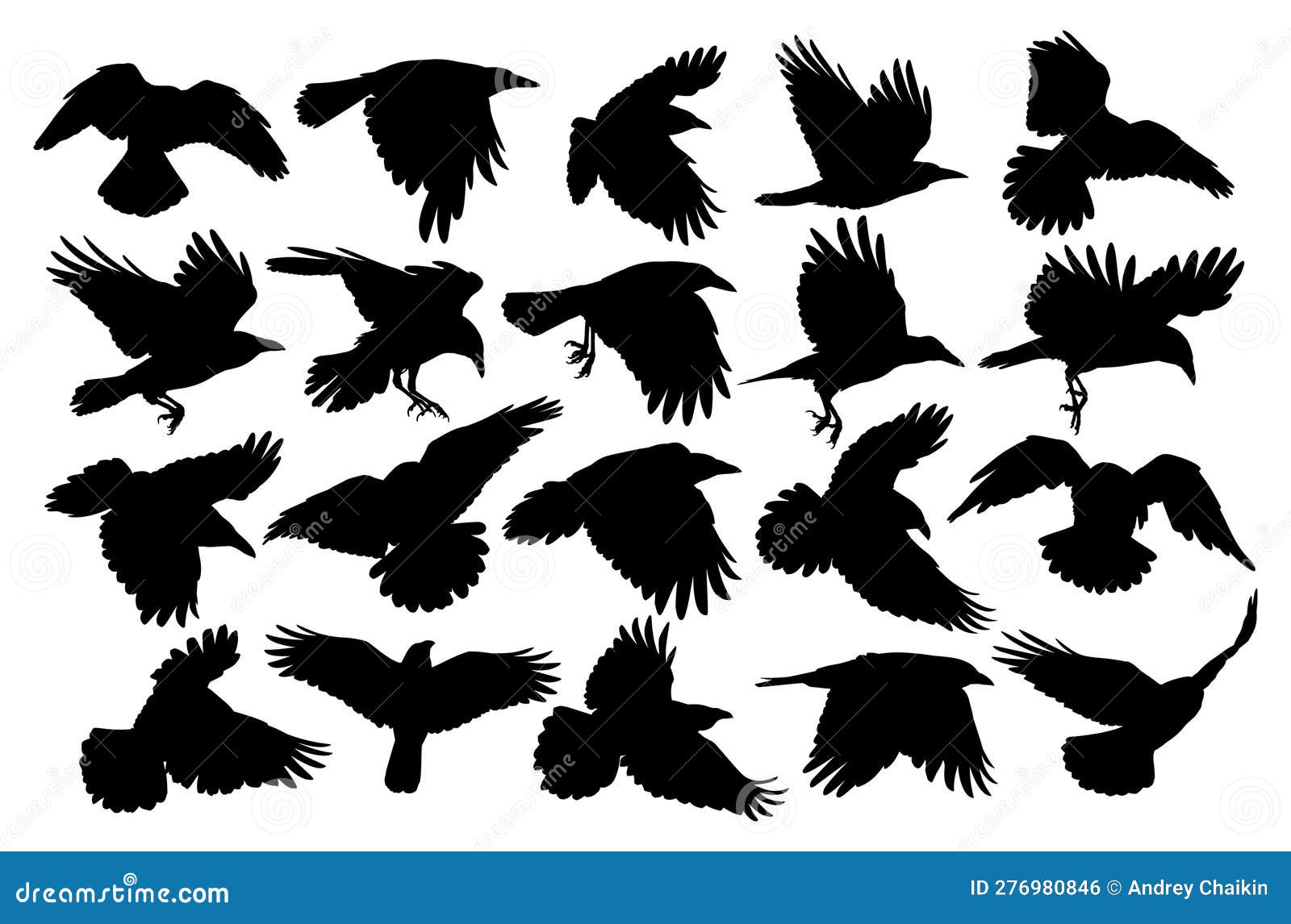 A Big Set of Silhouettes Ravens. Stock Vector - Illustration of hawk ...