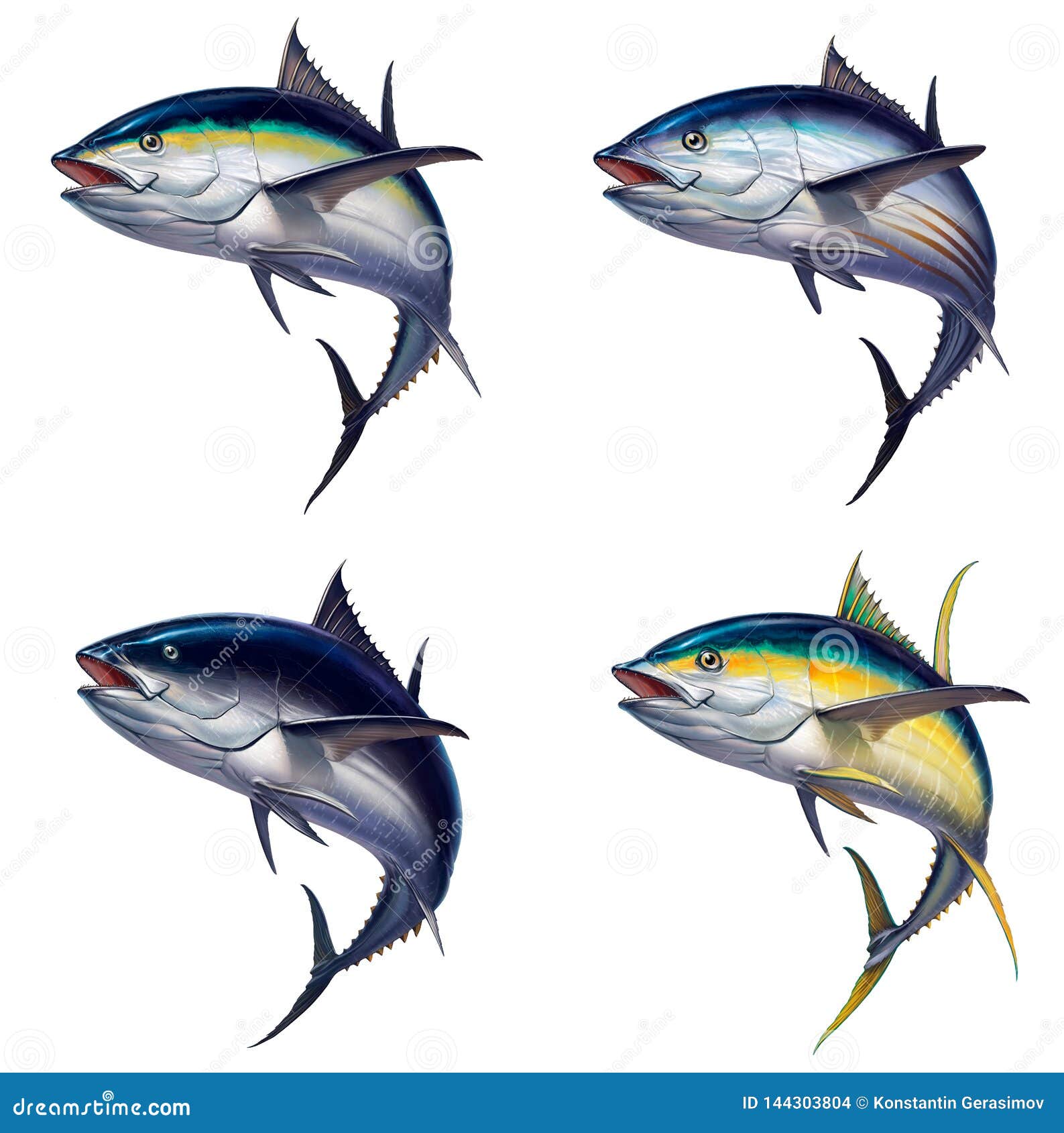 Tuna Fish Vector Illustration In Flat Design Isolated On White ... Tuna Fish Vector Illustration In Flat Design Isolated On White ...