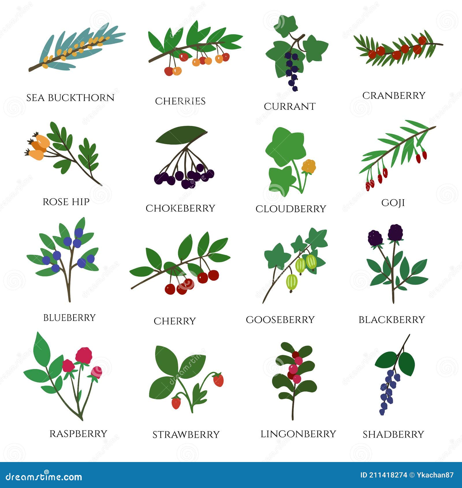 Big Set of Various Doodle Berries. Hand Drawing Stock Vector ...