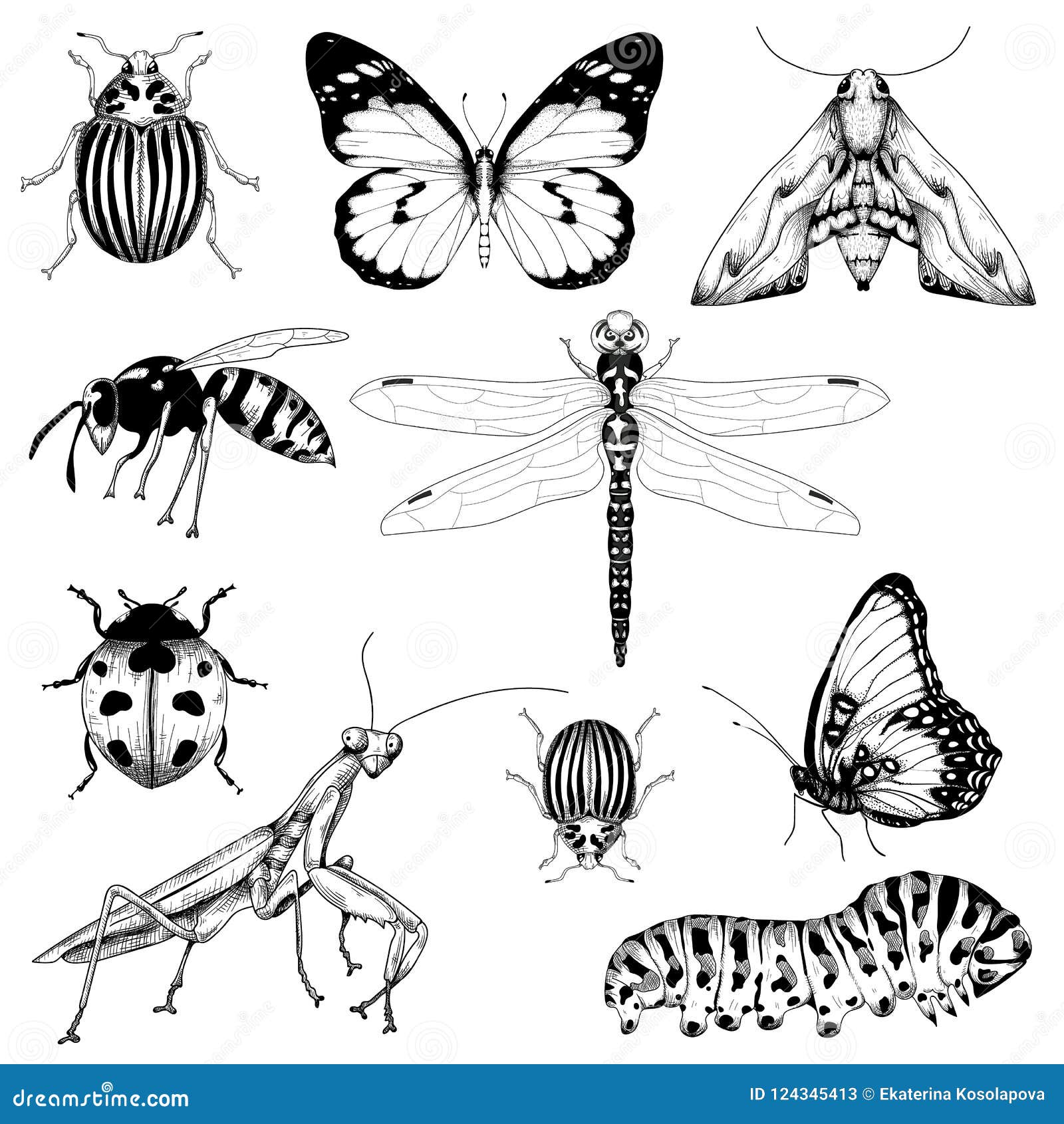 Big Set of Vector Insects Graphic Stock Vector - Illustration of vector ...