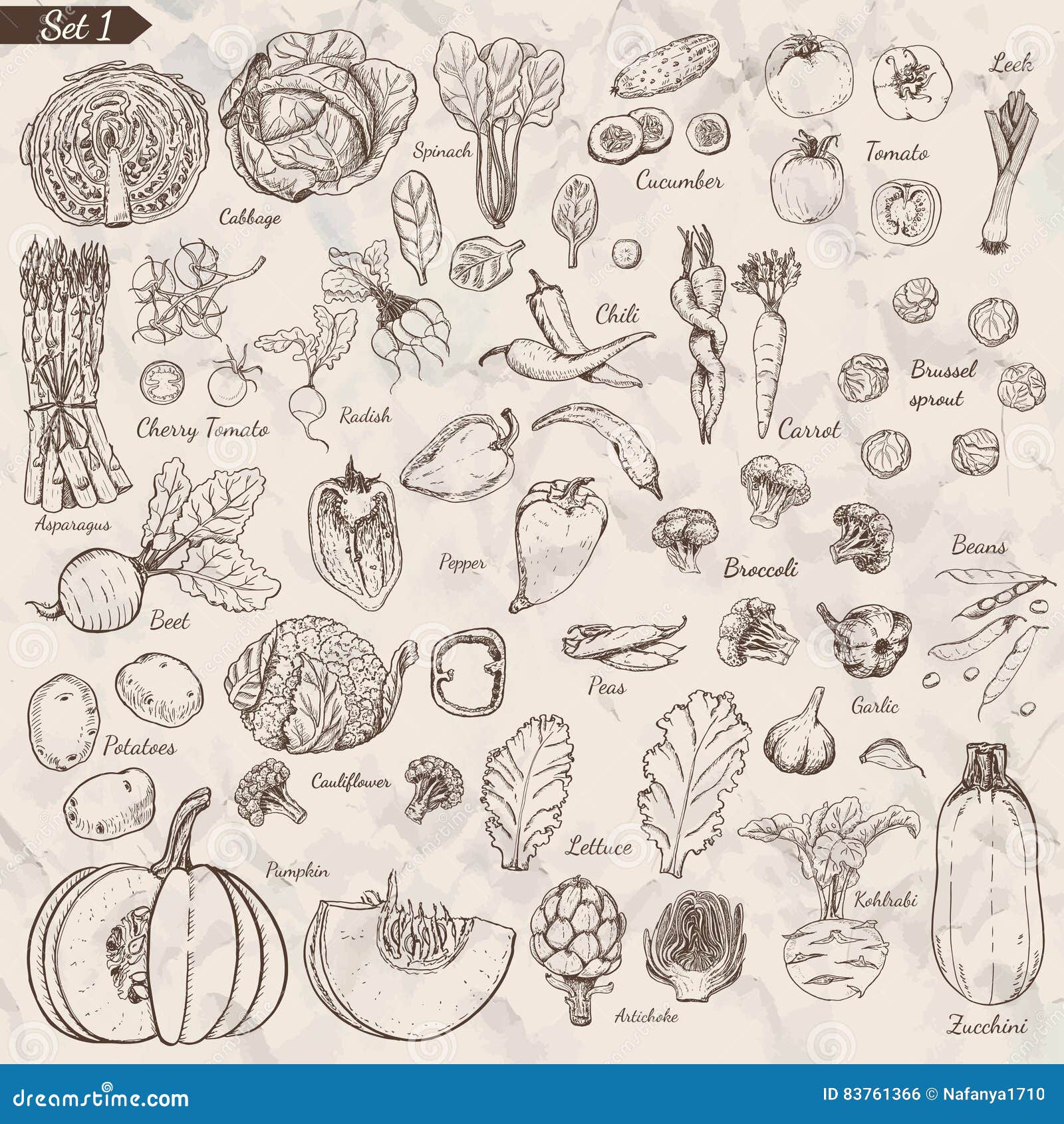Big Set of Vegetables in Sketch Style Stock Vector - Illustration of ...