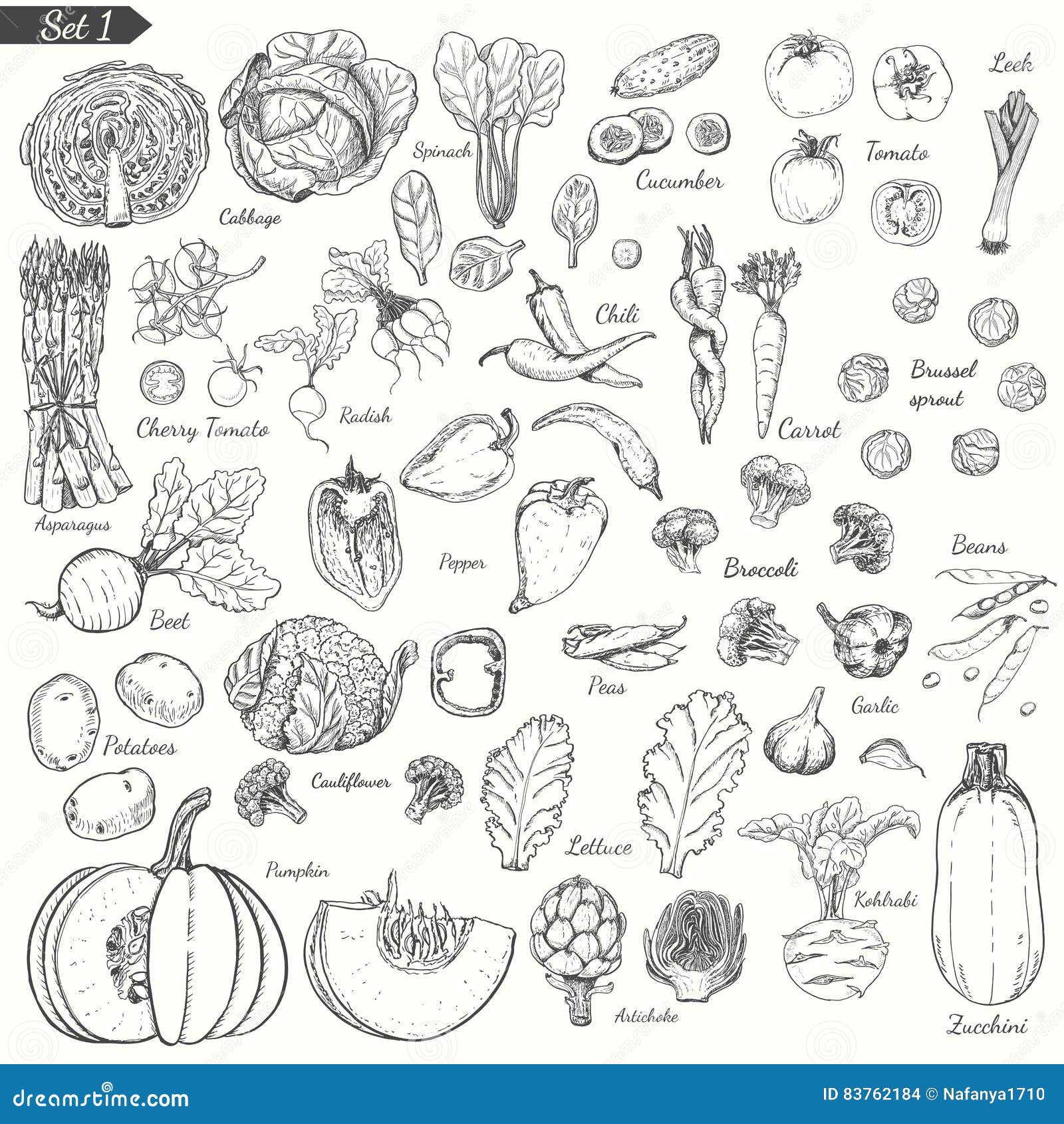 Big Set of Vegetables in Sketch Style Stock Vector - Illustration of ...