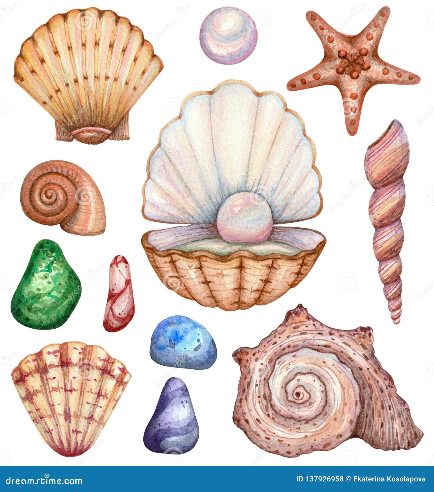 Watercolor Shells And Pearls Set. Hand Painted Underwater Elements ...