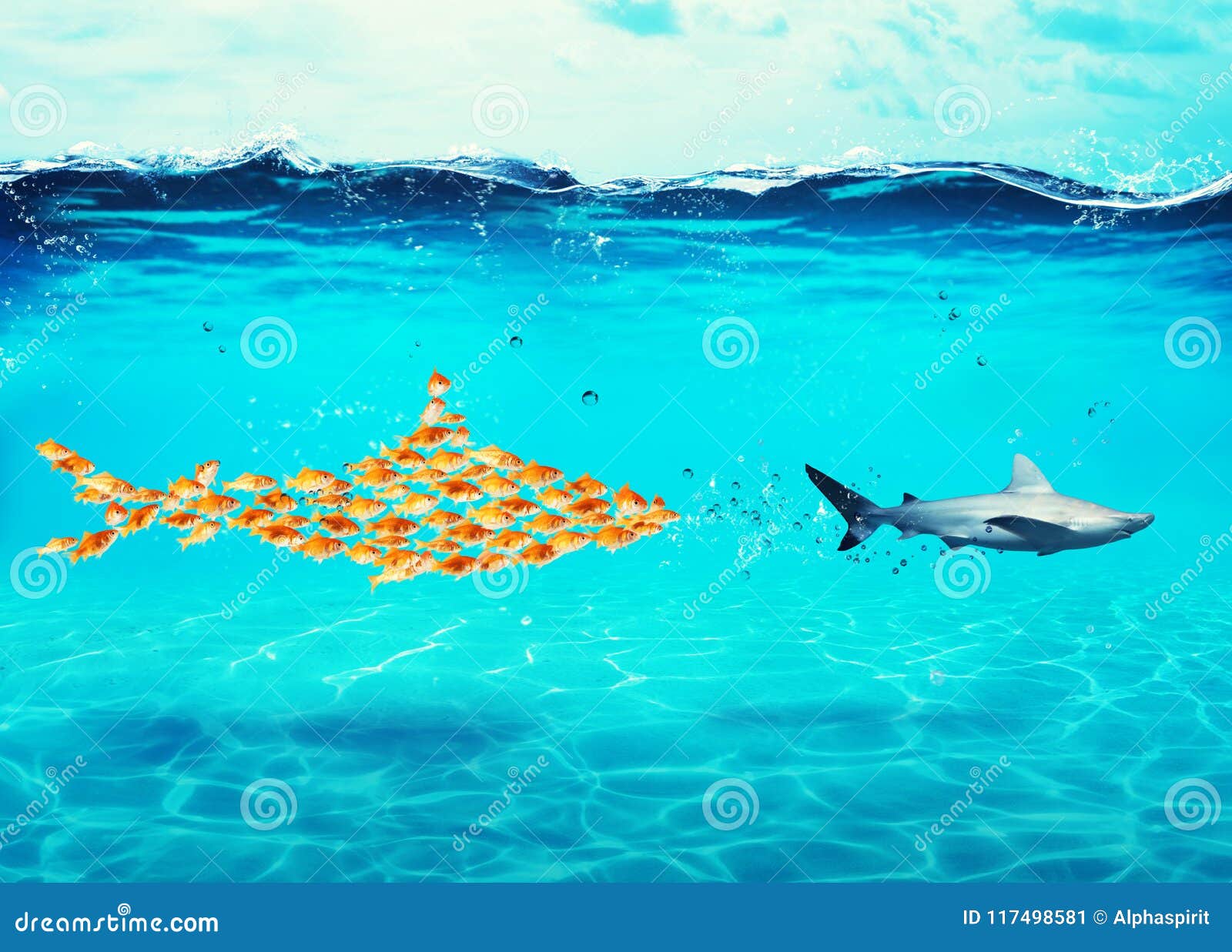 Big Shark Made of Goldfishes Attack a Real Shark. Concept of Unity is ...