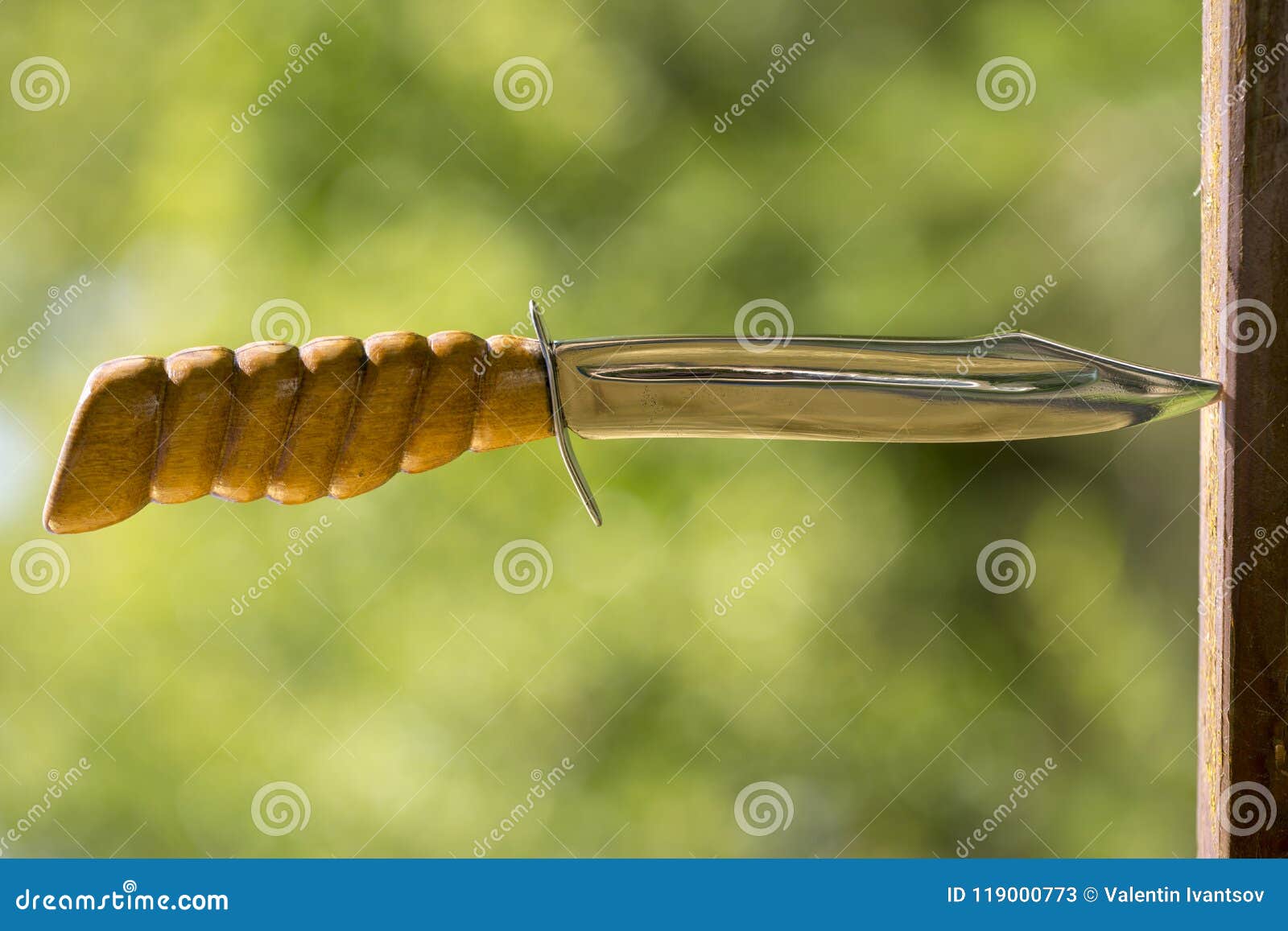 Big Sharp Knife Sticks Out in the Tree Stock Image - Image of sharp ...