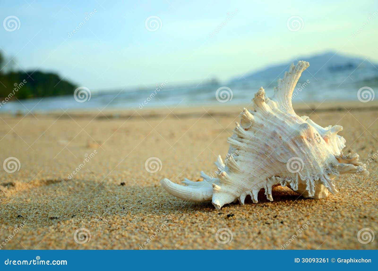 Beach stock image. Image of nature, shell, beach, mountain - 30093261