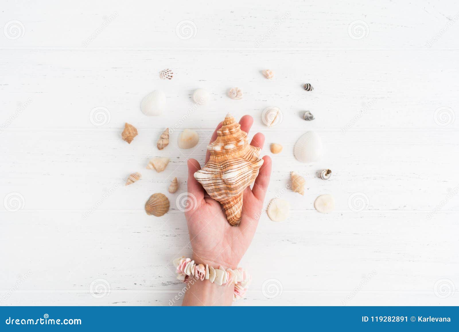 A Big Shell in the Female Hand with Small Various Shells Around, Flat ...