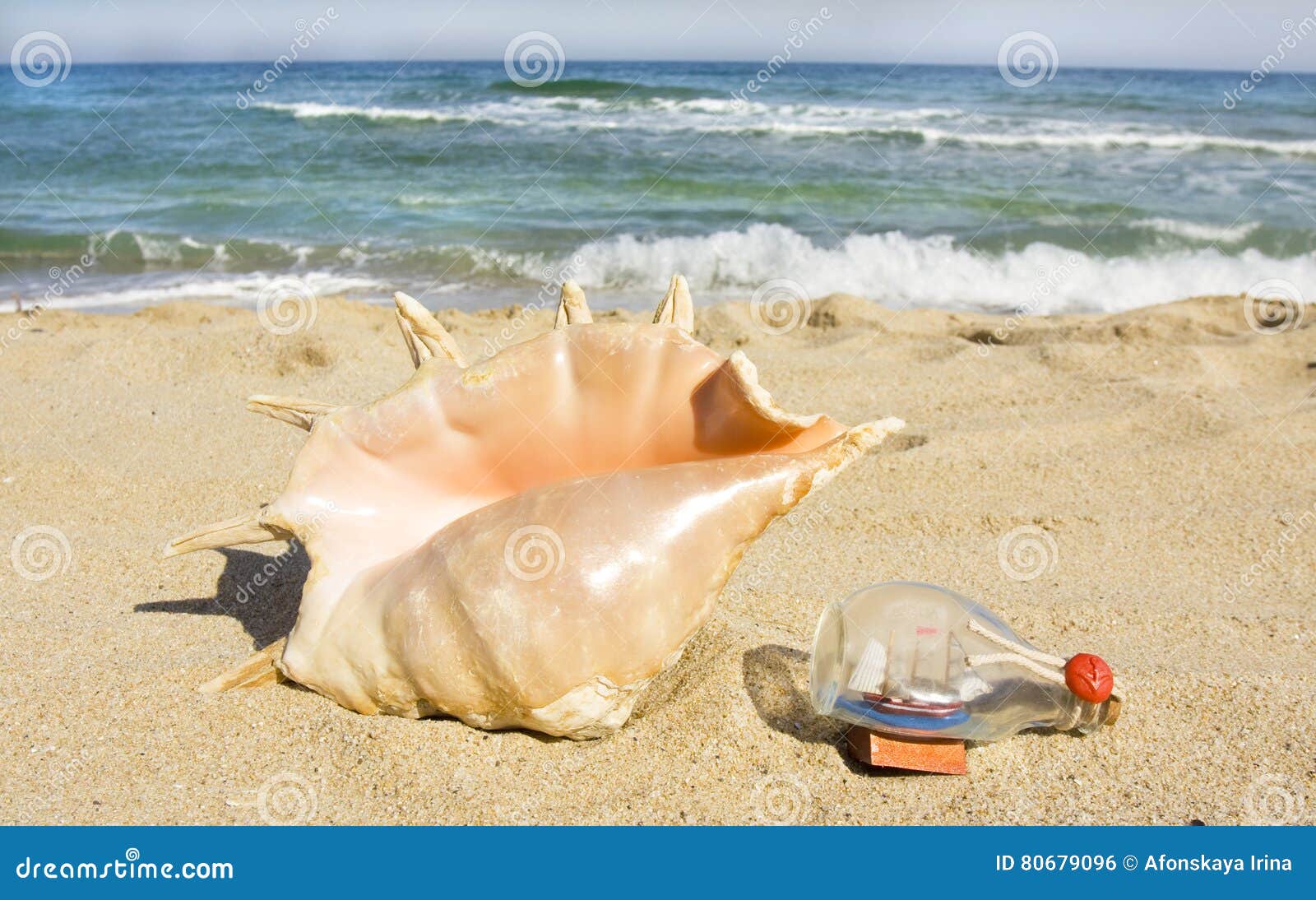 Big Shell and Sailing Ship in Bottle Stock Photo - Image of seacoast ...