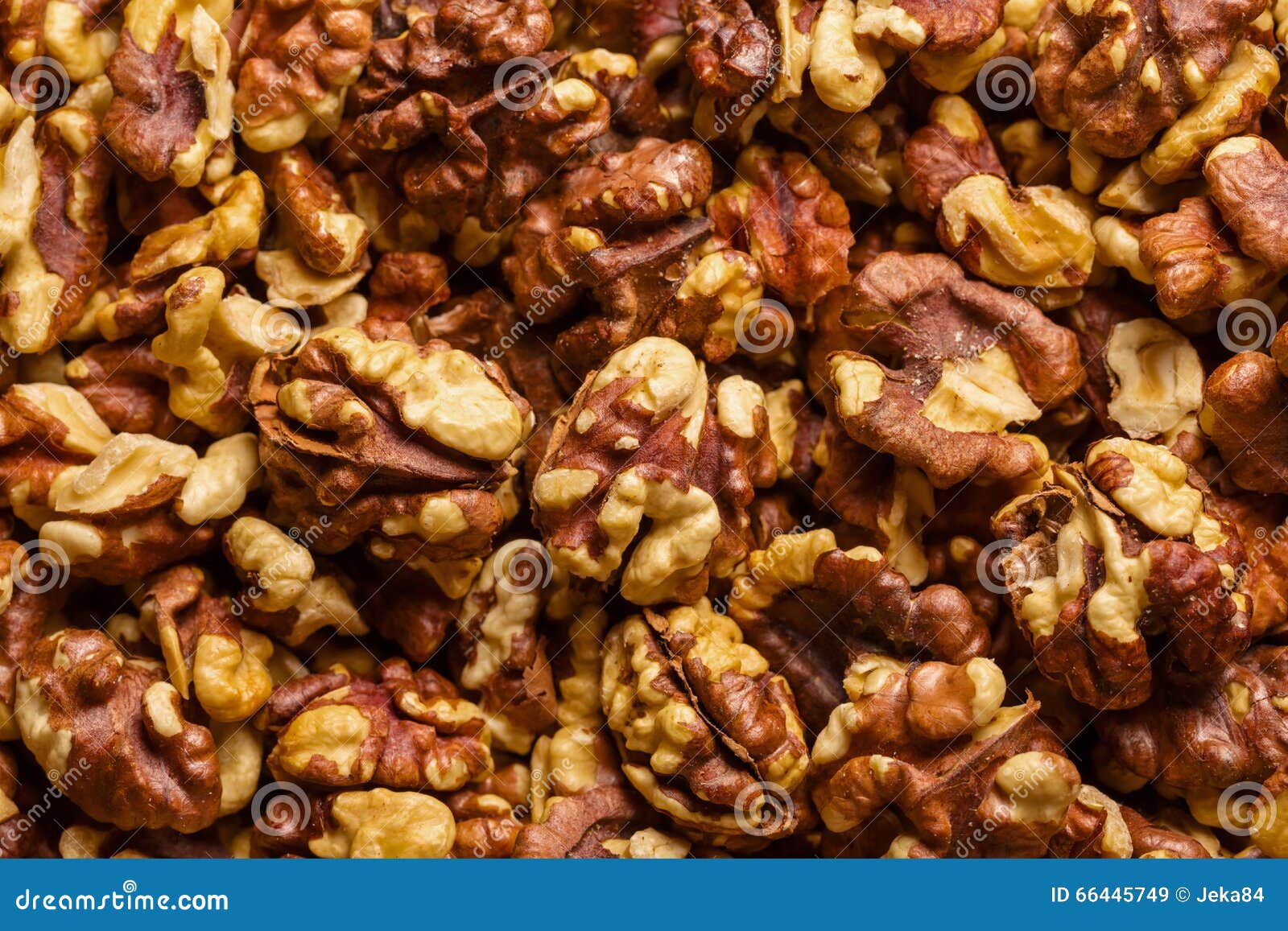 Big shelled walnuts stock image. Image of fruit, peeled - 66445749