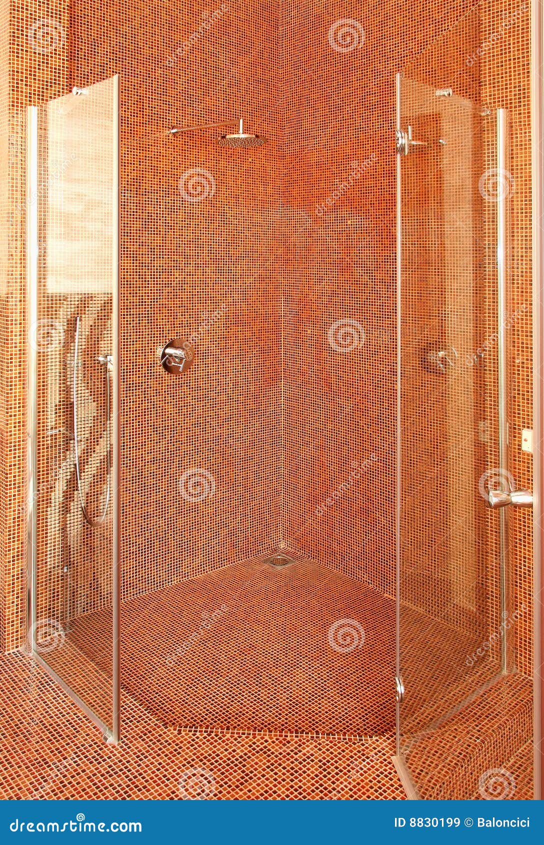Big shower stock image. Image of hygiene, hose, interior - 8830199