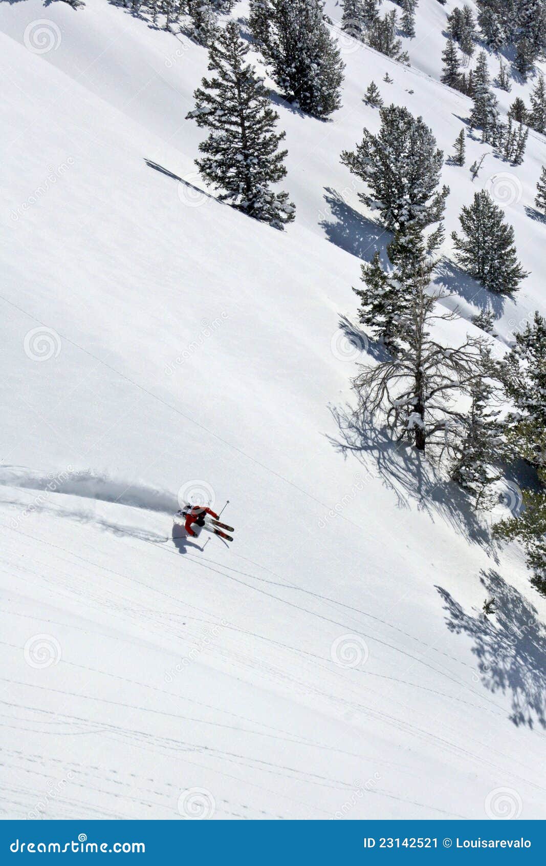 Big skis. stock image. Image of sunny, trees, skiing - 23142521