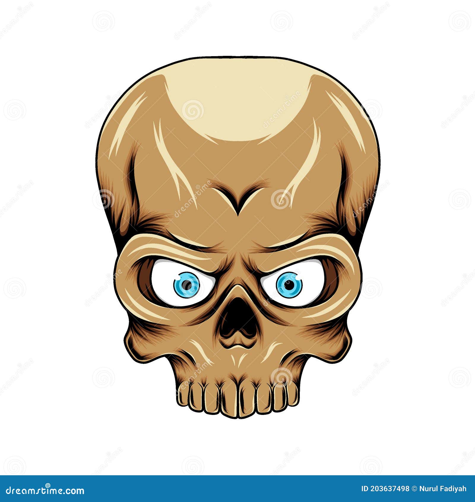 The Big Skull Head with the Big Forehead and Big Eyes for the Draw ...