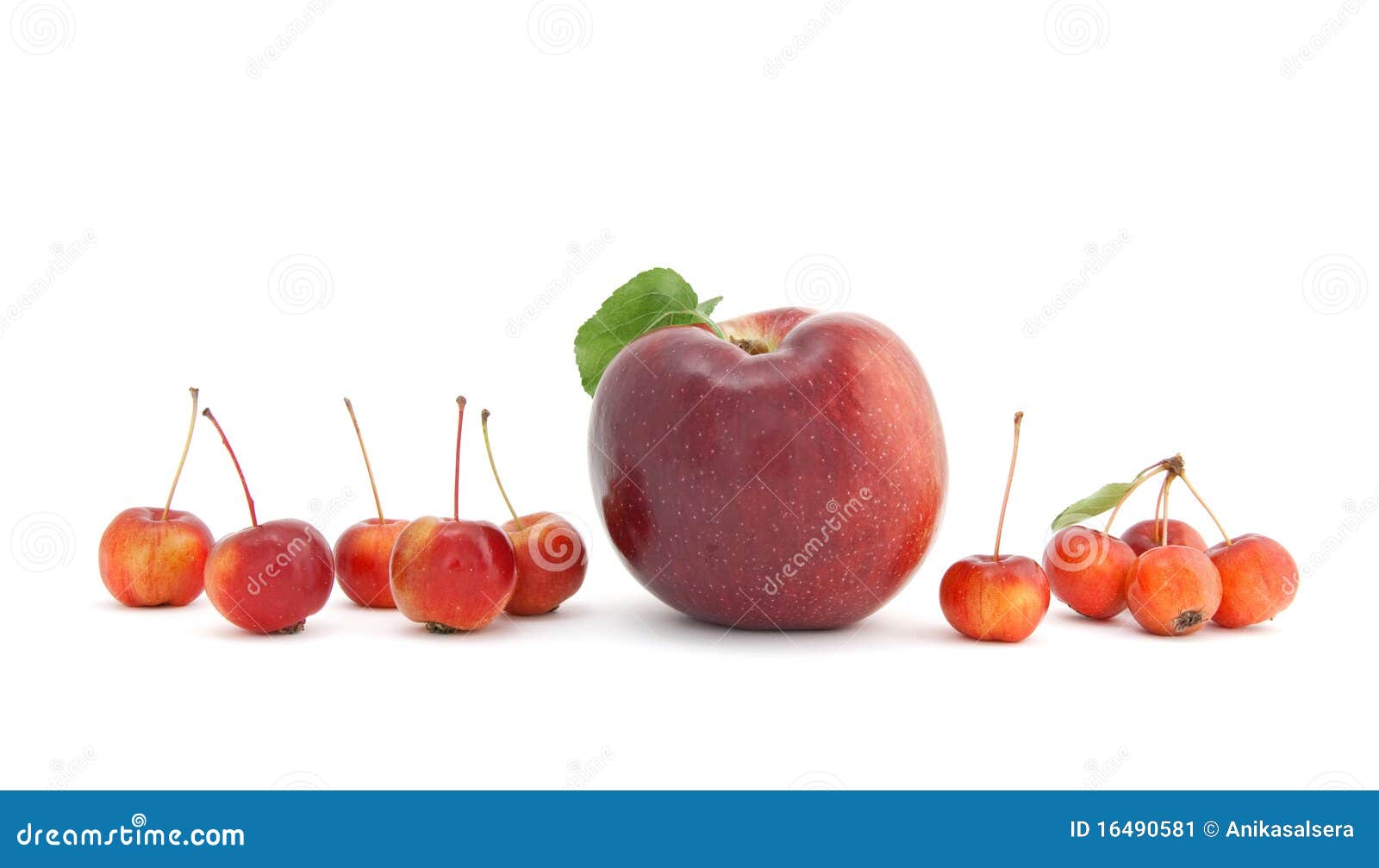 Big and Small Apples on White Background Stock Image - Image of healthy ...