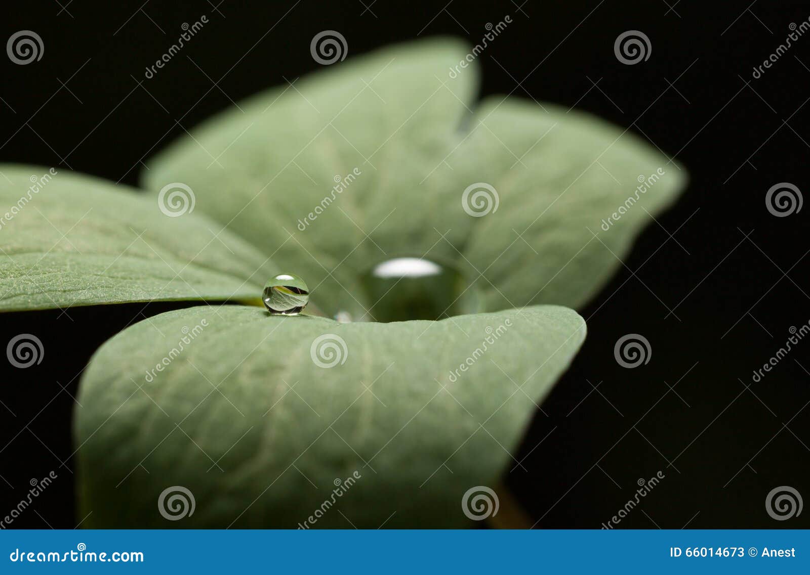 Big and small drops stock image. Image of summer, weather - 66014673