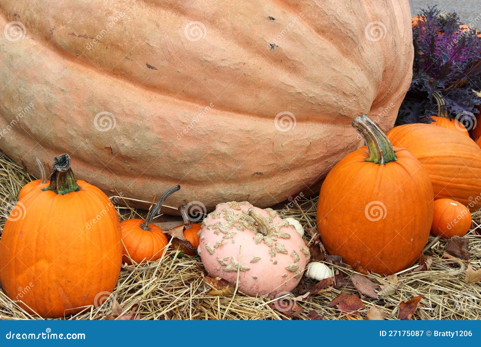 Big and Small Fall Pumpkins Stock Image - Image of crop, seasonal: 27175087
