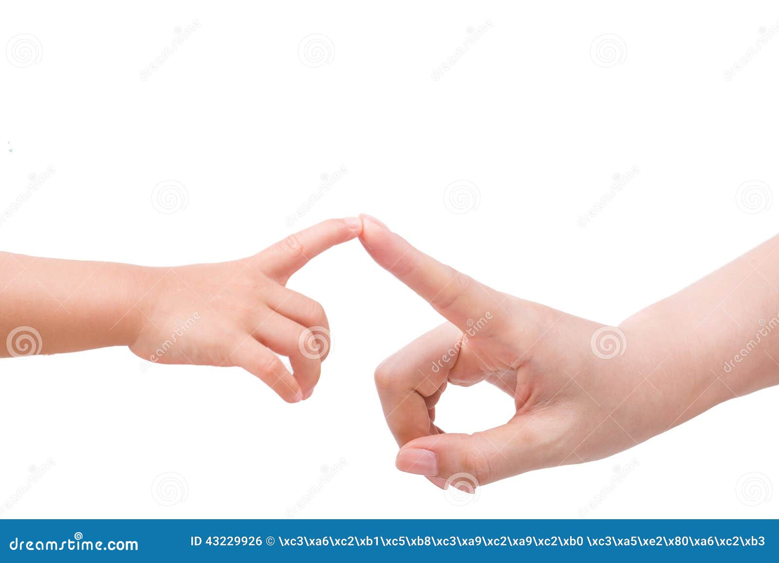 The Big and the Small Isolated on White Stock Photo - Image of person ...