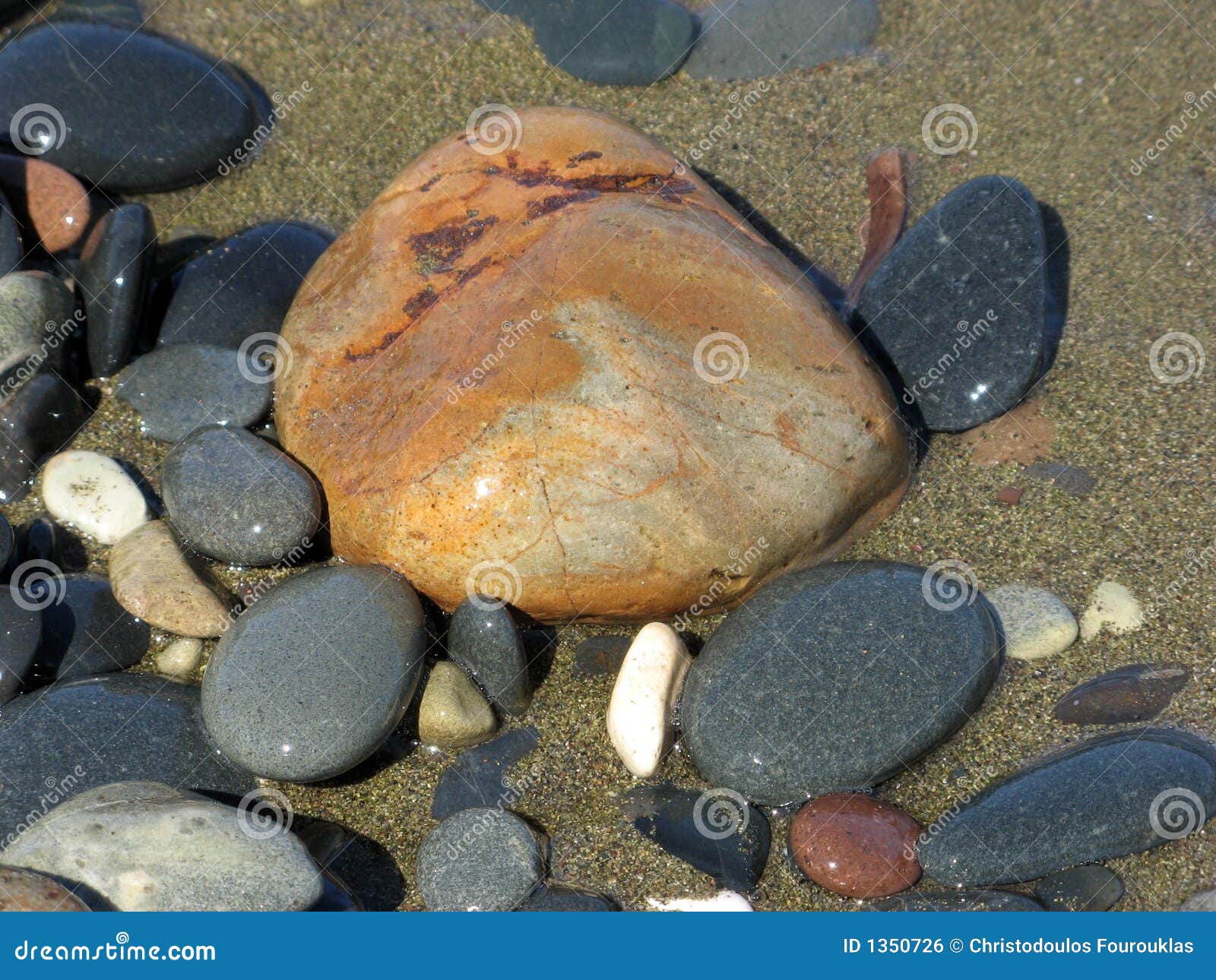 Big and small pebbles stock photo. Image of nature, moist - 1350726