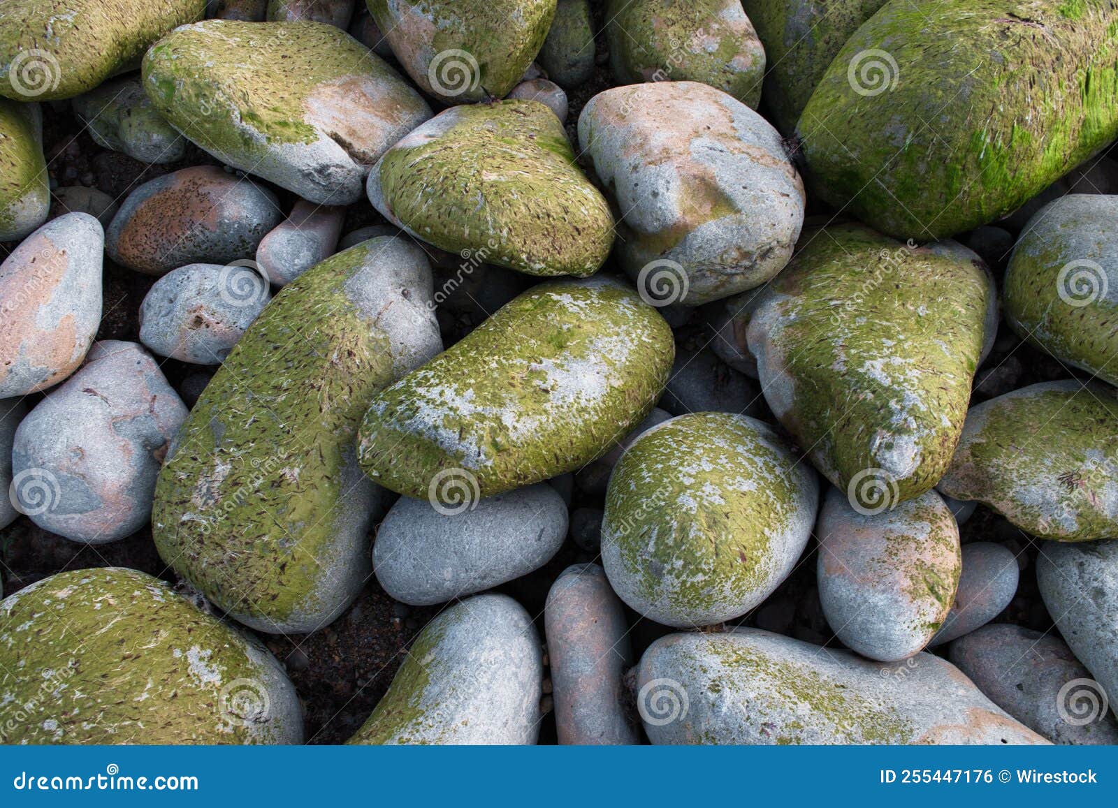 Big and Small Rocks Covered with Moss Stock Photo - Image of texture ...