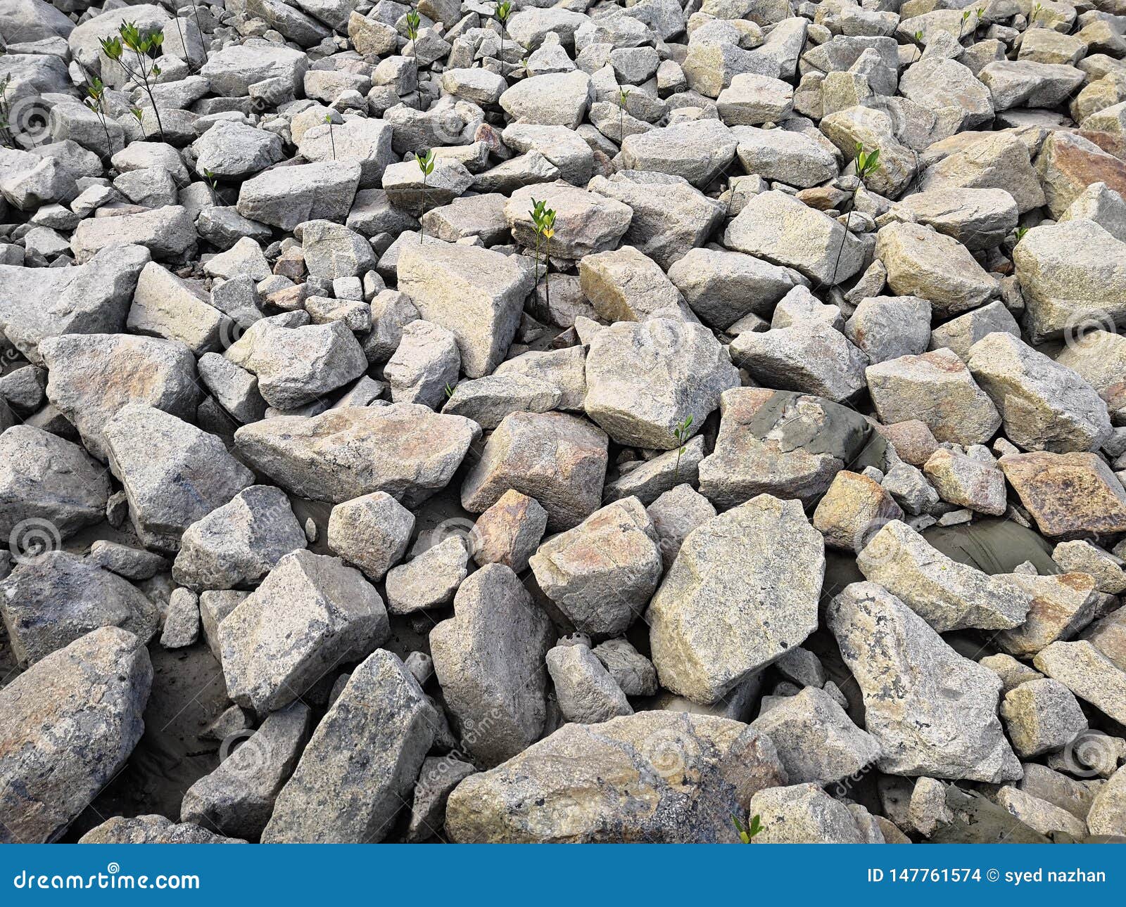 Big and Small Stones with Minimal Mini Tress Stock Photo - Image of ...