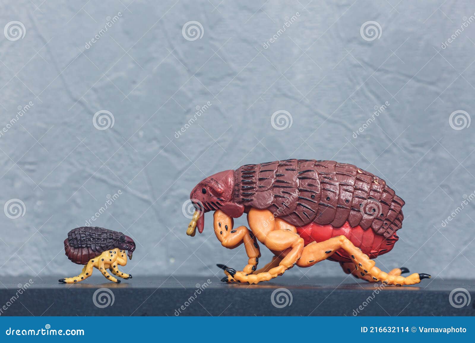 Big and Small Toy Plastic Flea on the Table. Flea Model Stock Photo ...