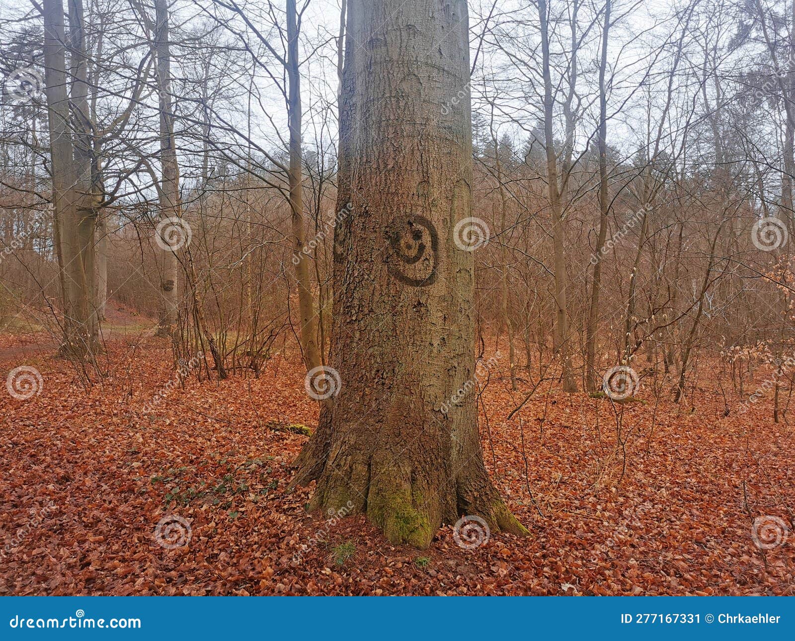 A Big Smiling Face on a Tree Stock Image - Image of emoticons, color ...