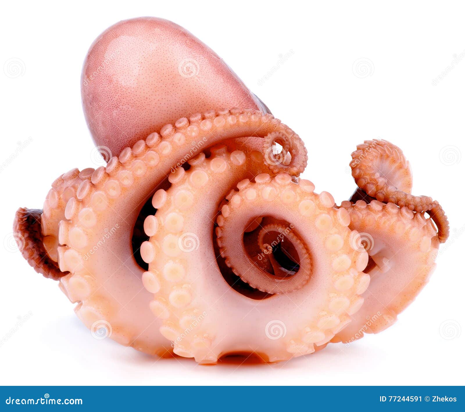 Big Smoked Octopus stock image. Image of purple, ingredient - 77244591