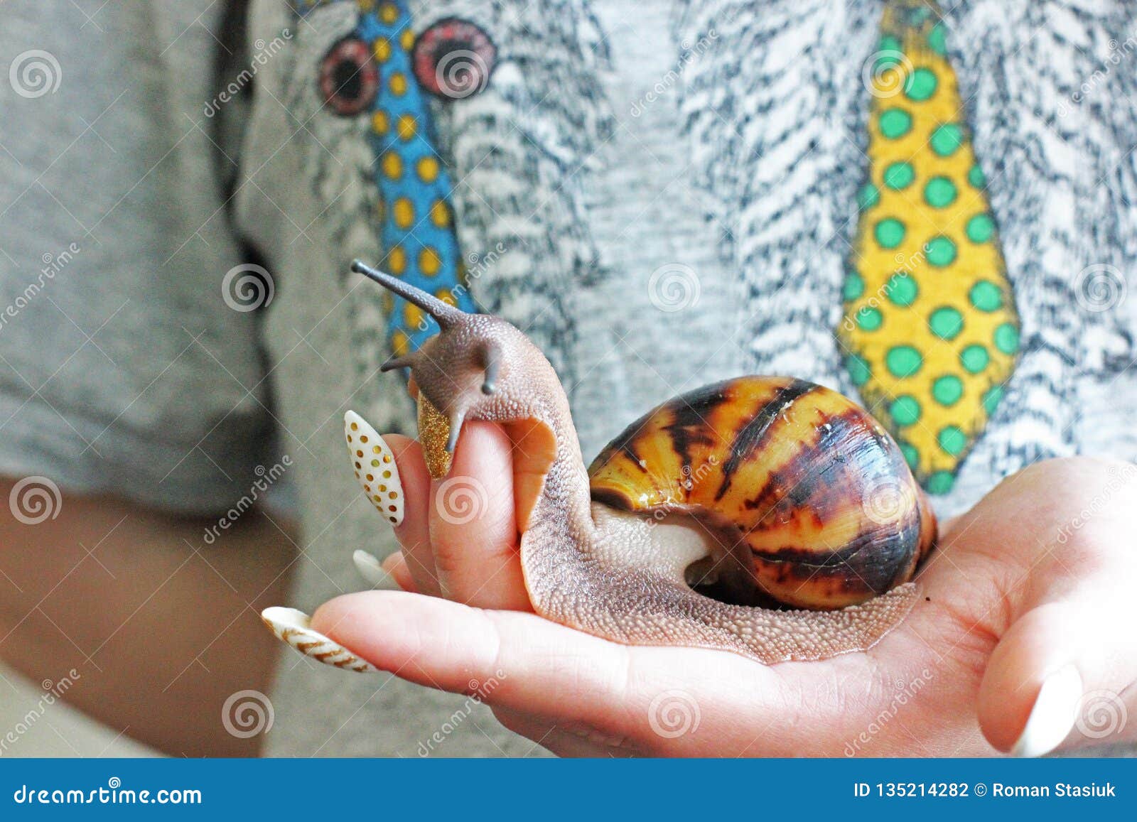 Snail in hand stock photo. Image of beauty, akhatins - 135214282