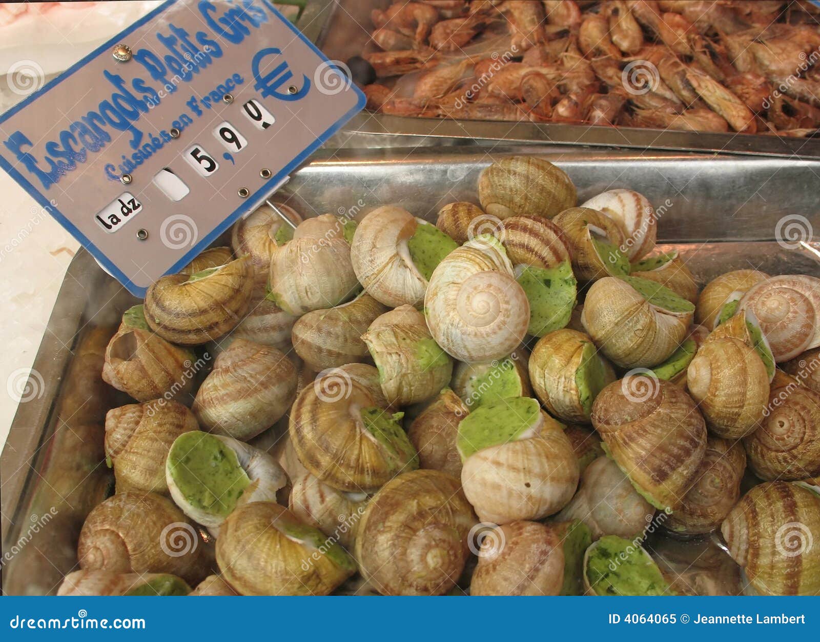 Big snails at market stock image. Image of euro, french - 4064065