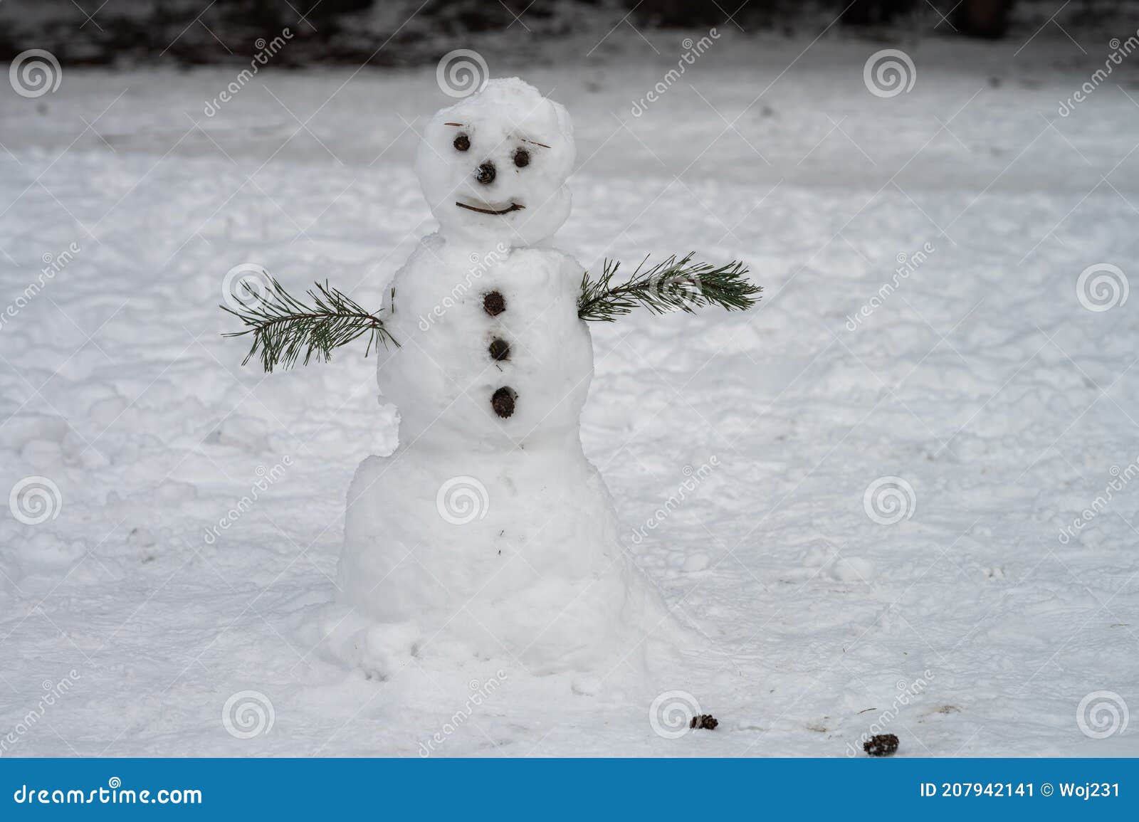 Big snowman in the snow stock image. Image of snowman - 207942141