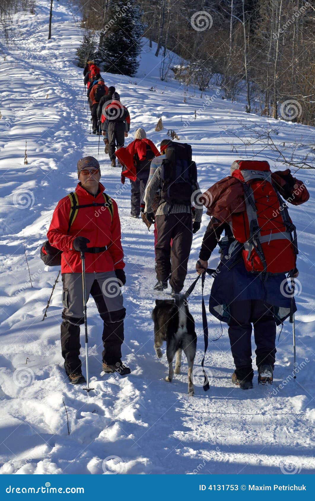 Big Snowshoer Group Climbing Stock Image - Image of boot, forest: 4131753