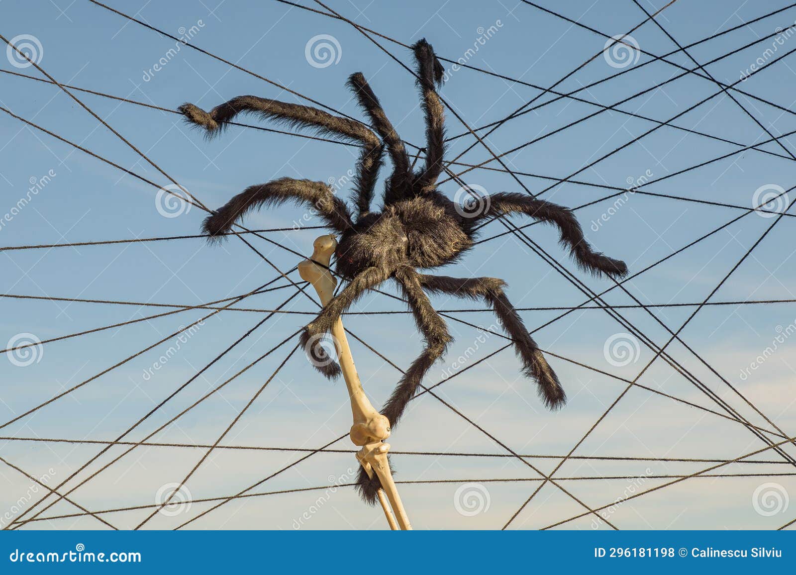 Big Spider with a Human Bone Stock Photo - Image of scarey, creature ...