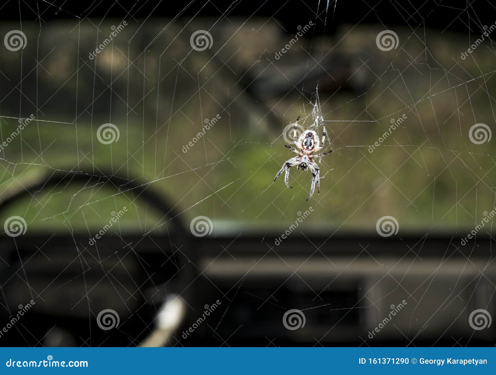Big Spider on the Web on an Old All-terrain Vehicle Stock Photo - Image ...