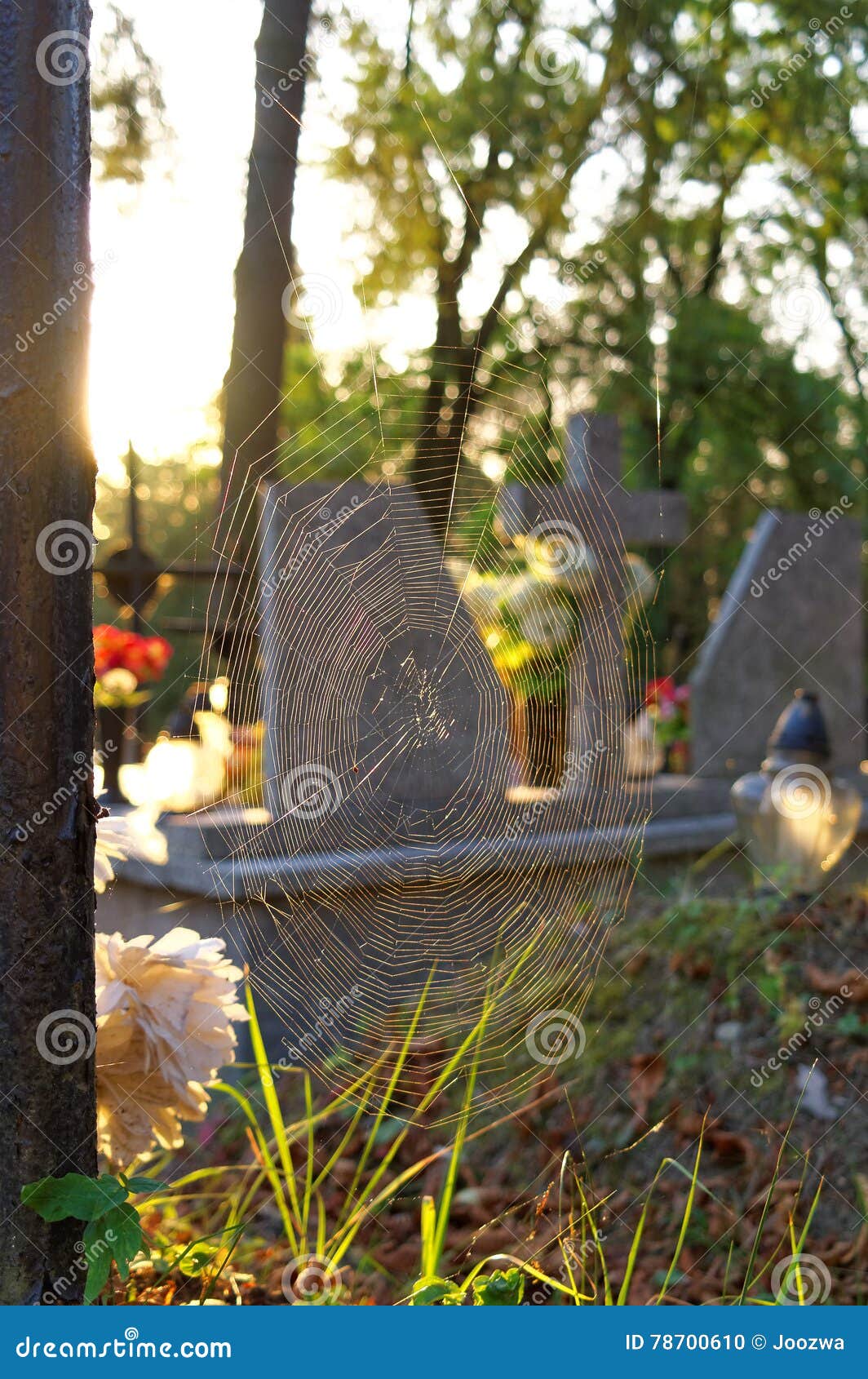 Big spiderweb on the grave stock photo. Image of abandoned - 78700610