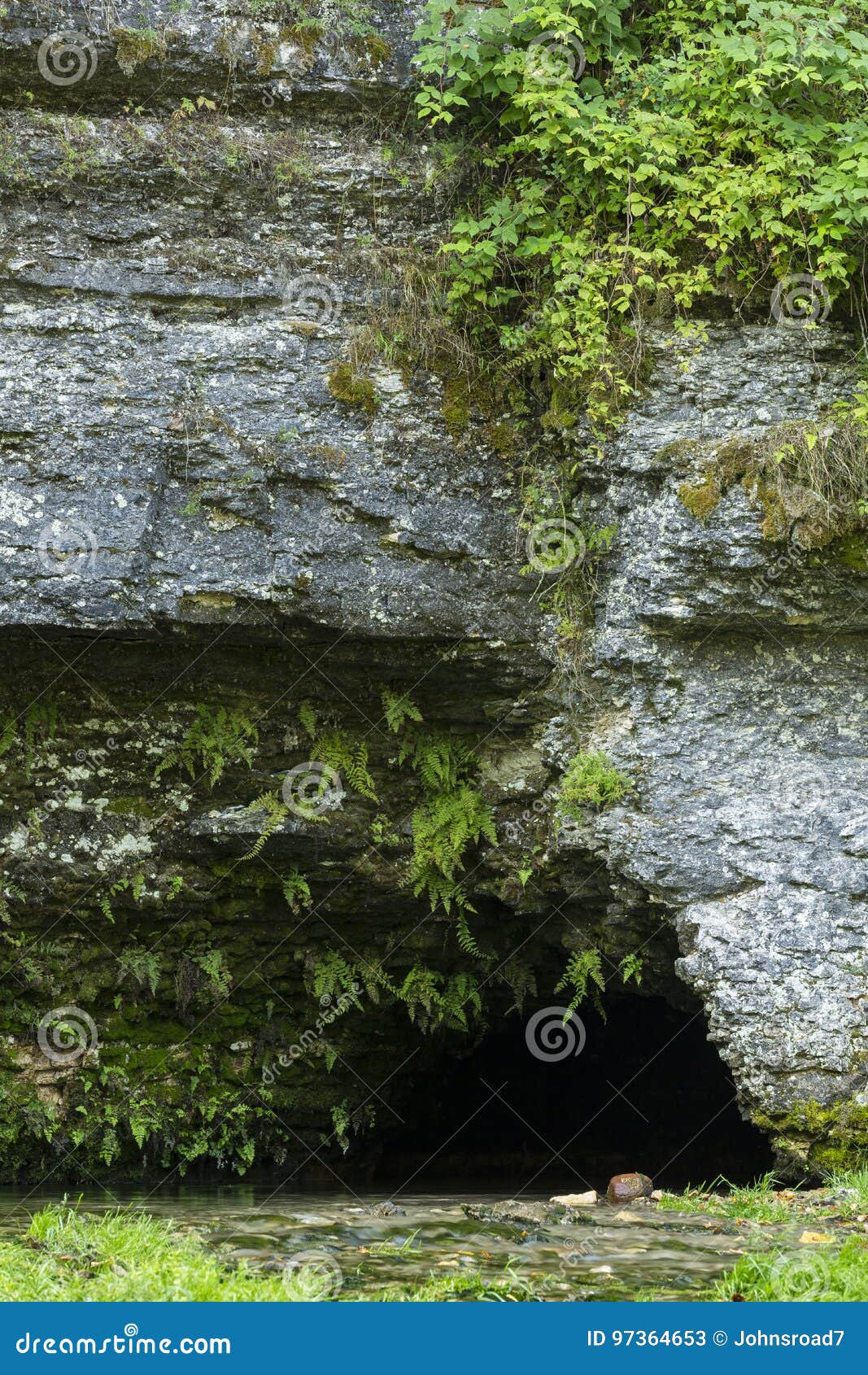 Big Spring Cave stock image. Image of hole, spring, forestville - 97364653