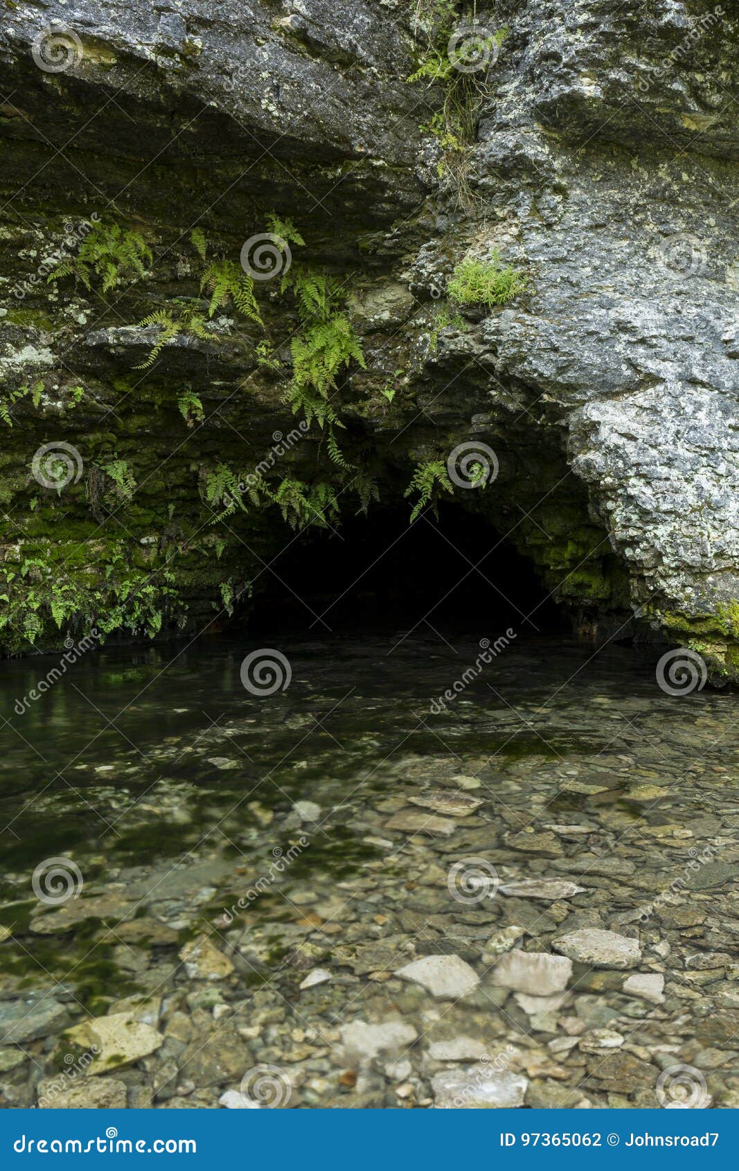 Big Spring Cave stock photo. Image of green, park, landscape - 97365062