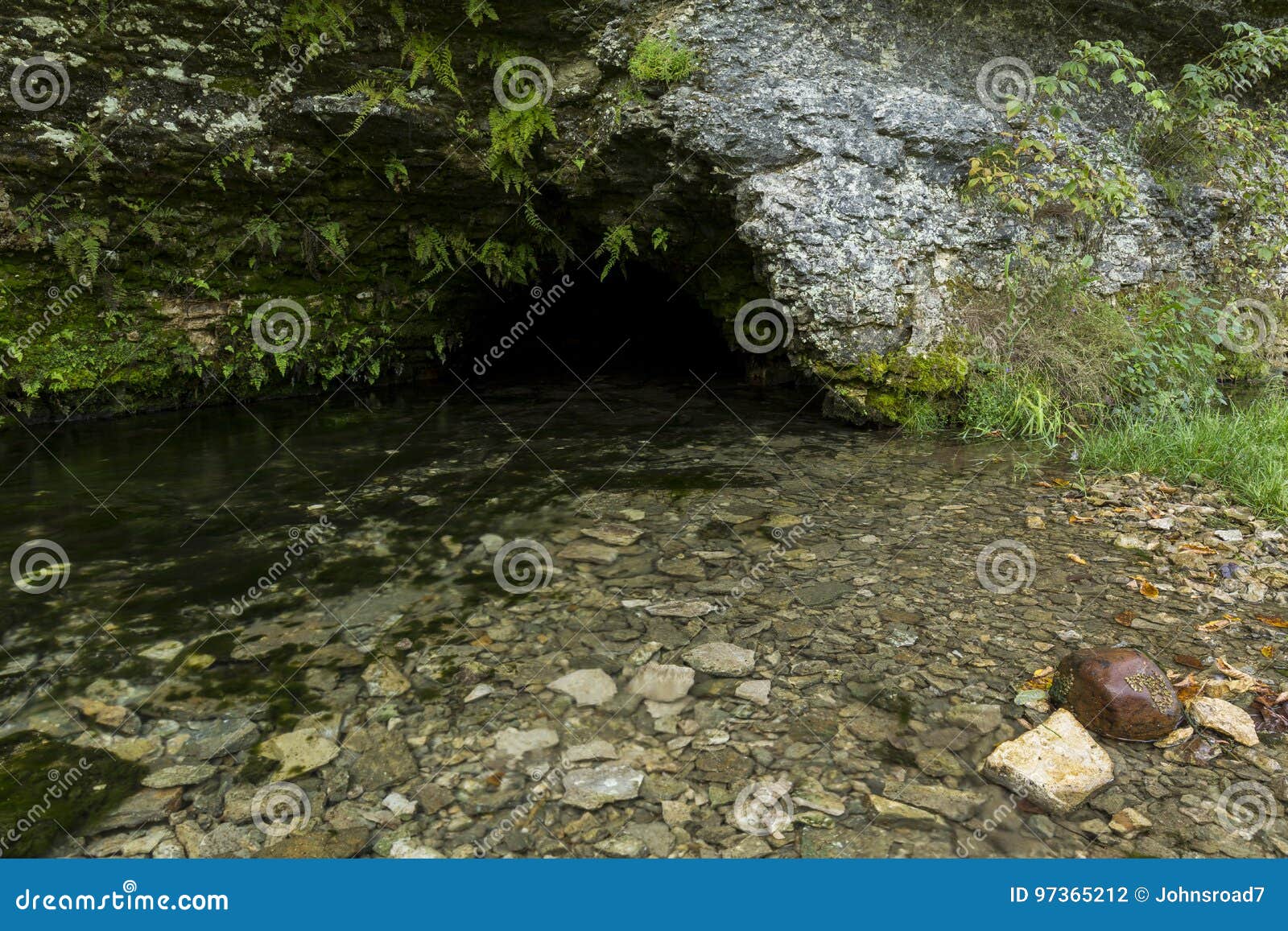 Big Spring Cave stock photo. Image of moss, river, creek - 97365212
