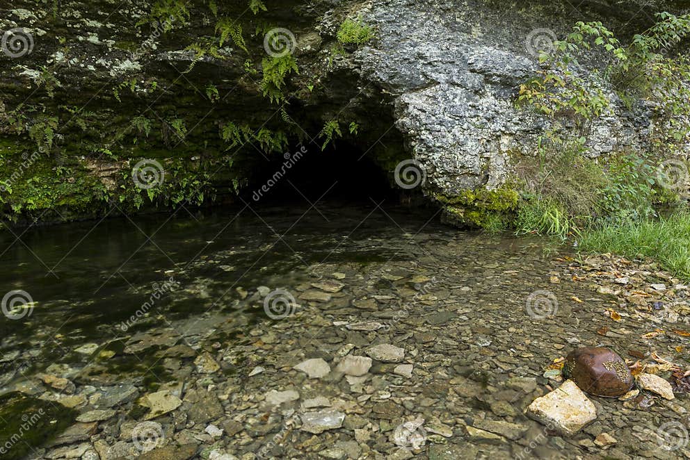 Big Spring Cave stock photo. Image of moss, river, creek - 97365212