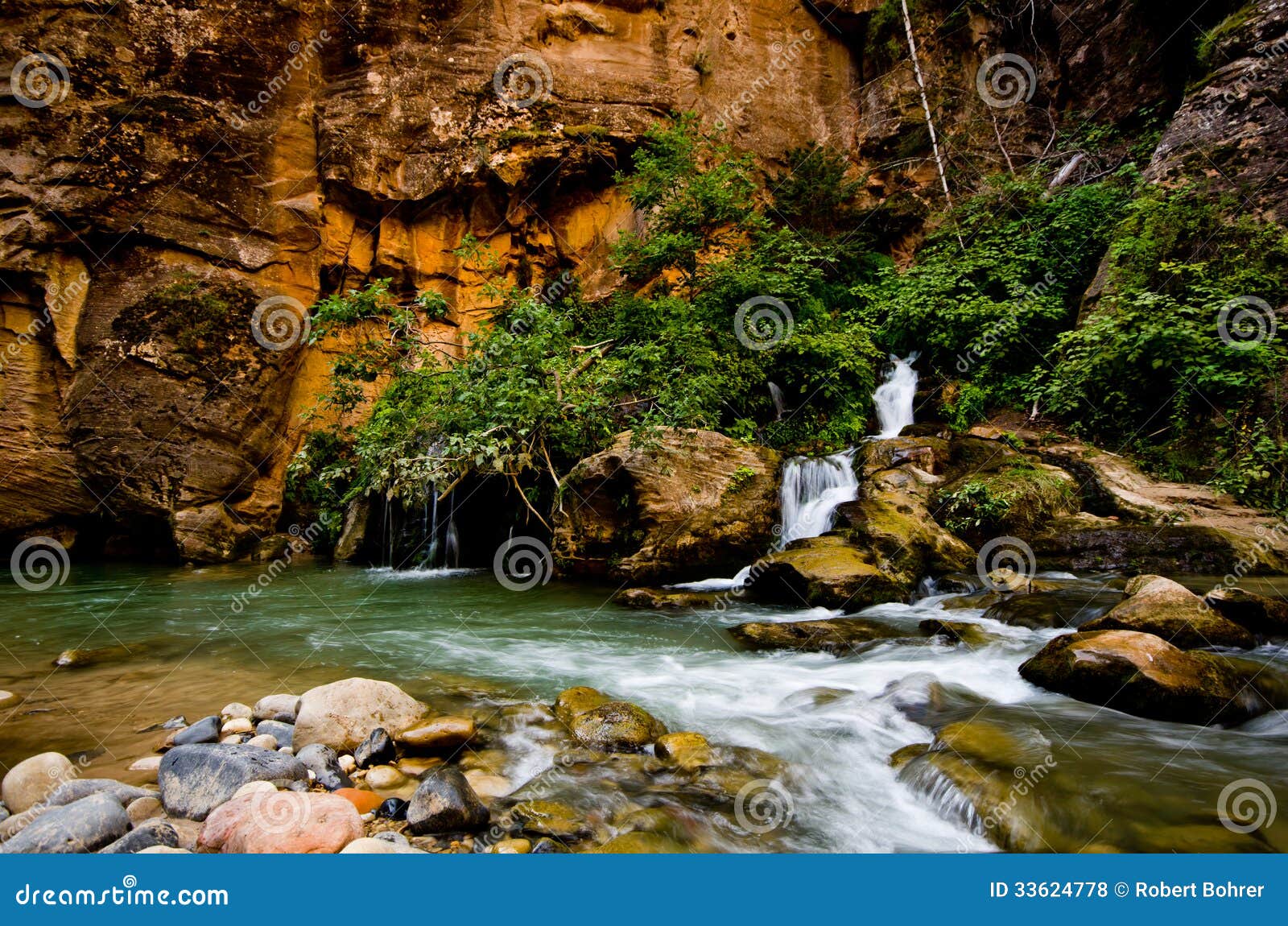 Big Spring in the Narrows at Zion National Park. Stock Photo - Image of ...