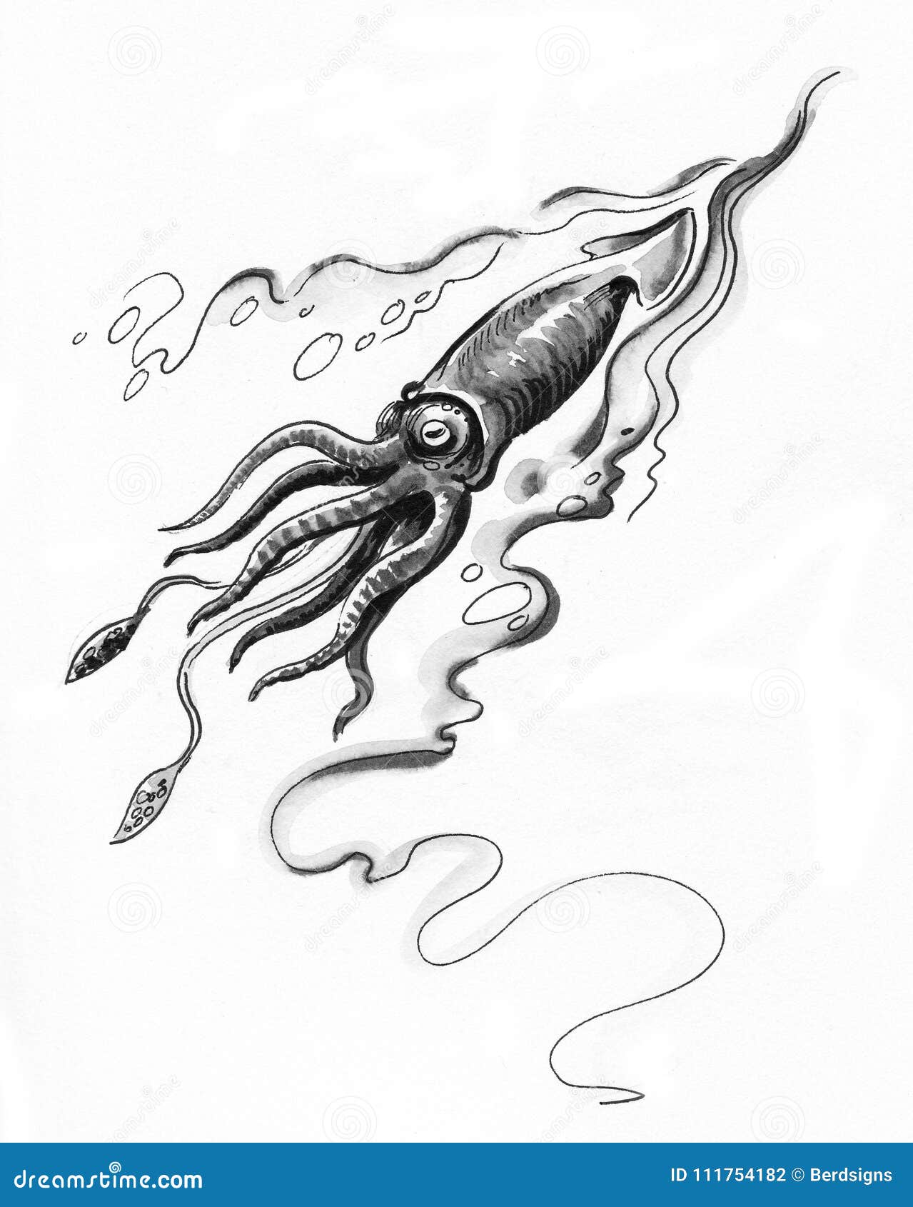 Big squid in water stock illustration. Illustration of animal - 111754182